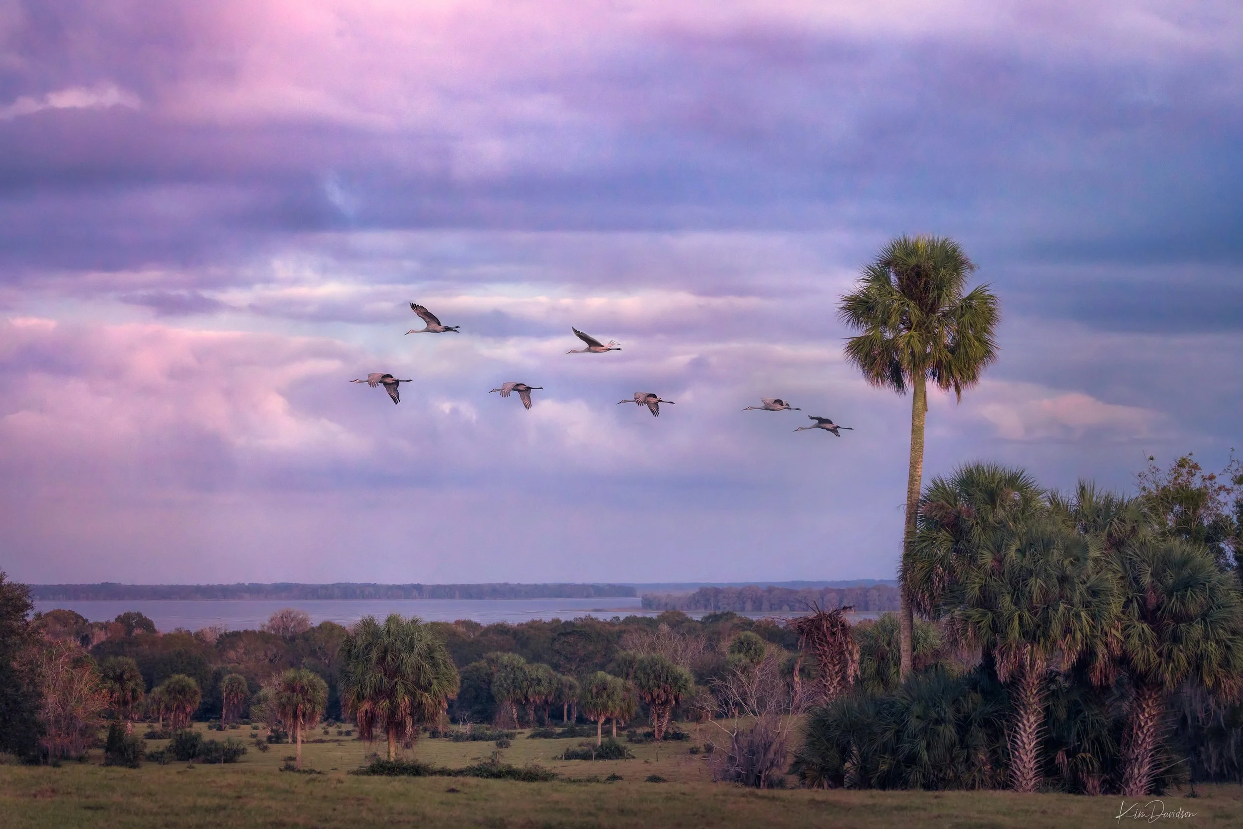 Alachua Conservation Trust