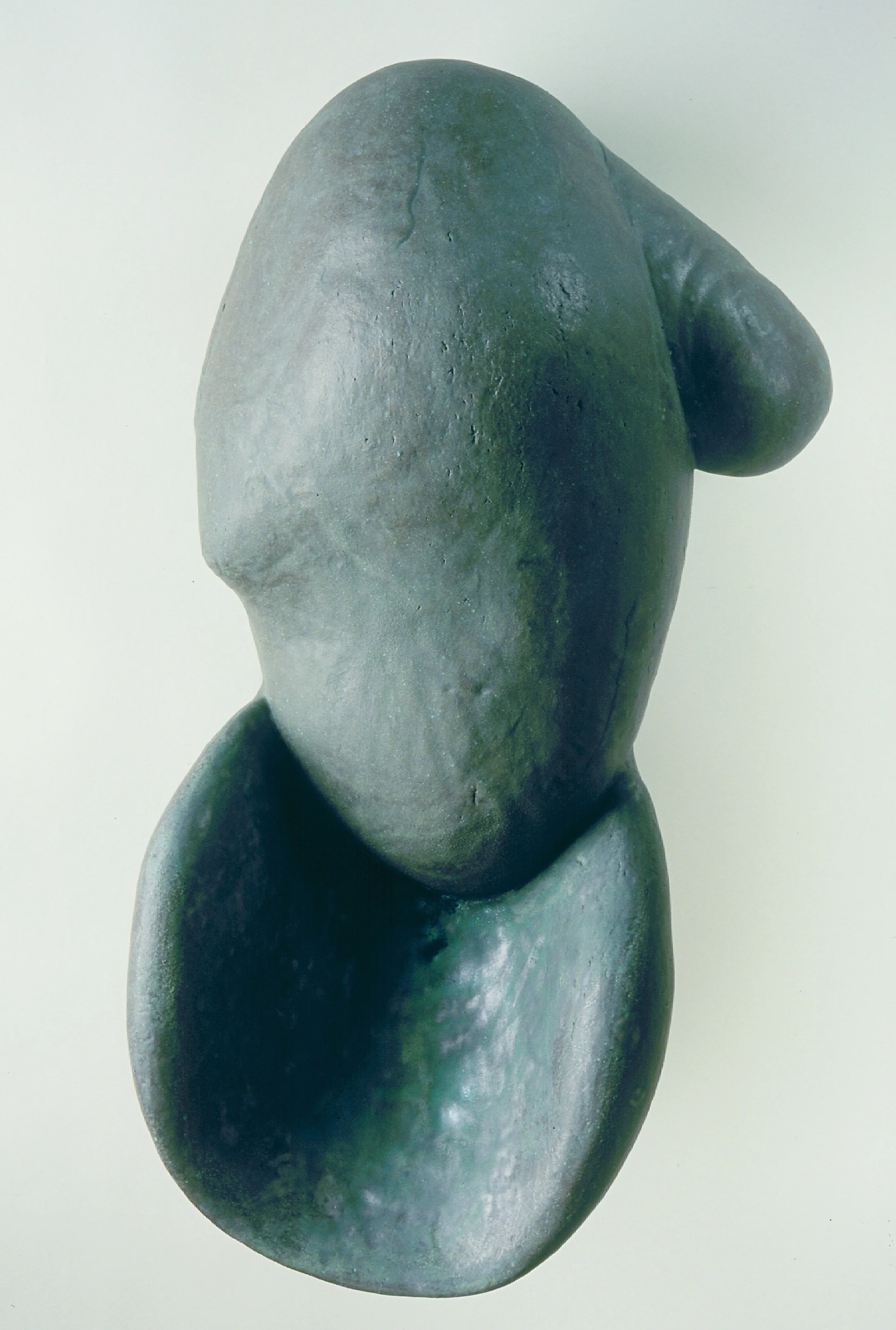 1995-1999 — Scott Chamberlin