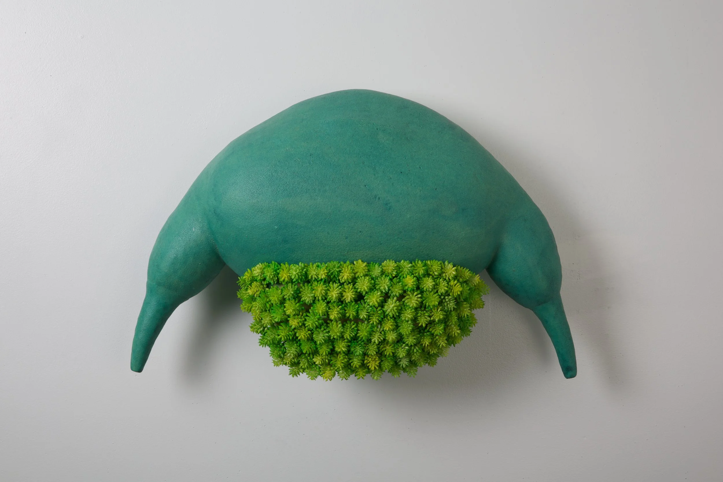 Recent — Scott Chamberlin