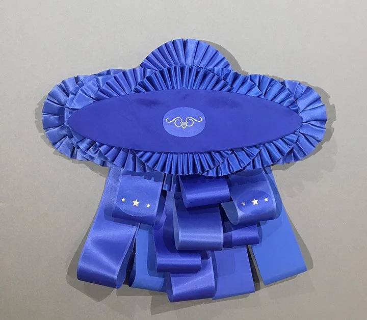 Awards and Trophies — Beth Krebs