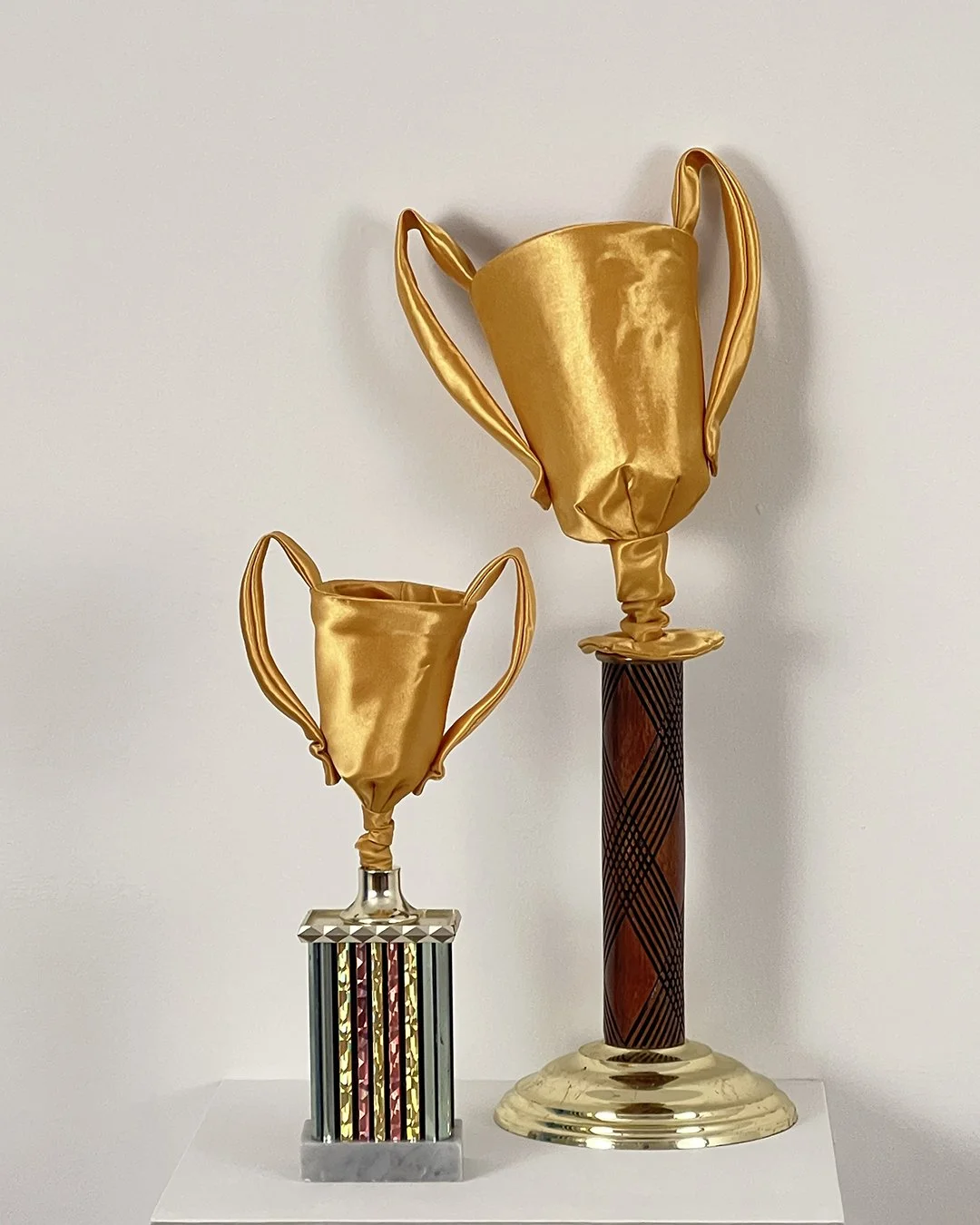 Awards and Trophies — Beth Krebs