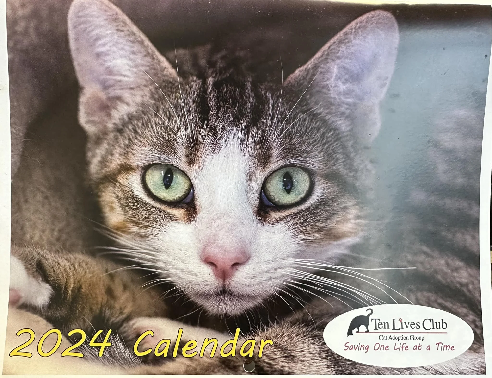 TLC Store — Ten Lives Club