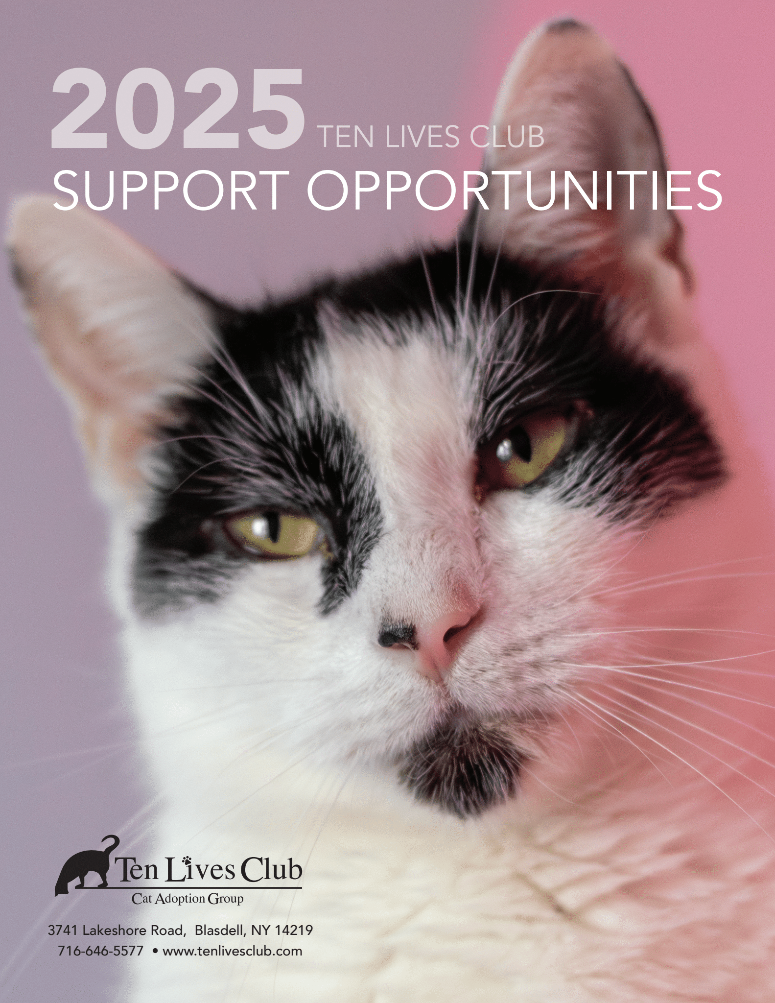 About TLC — Ten Lives Club