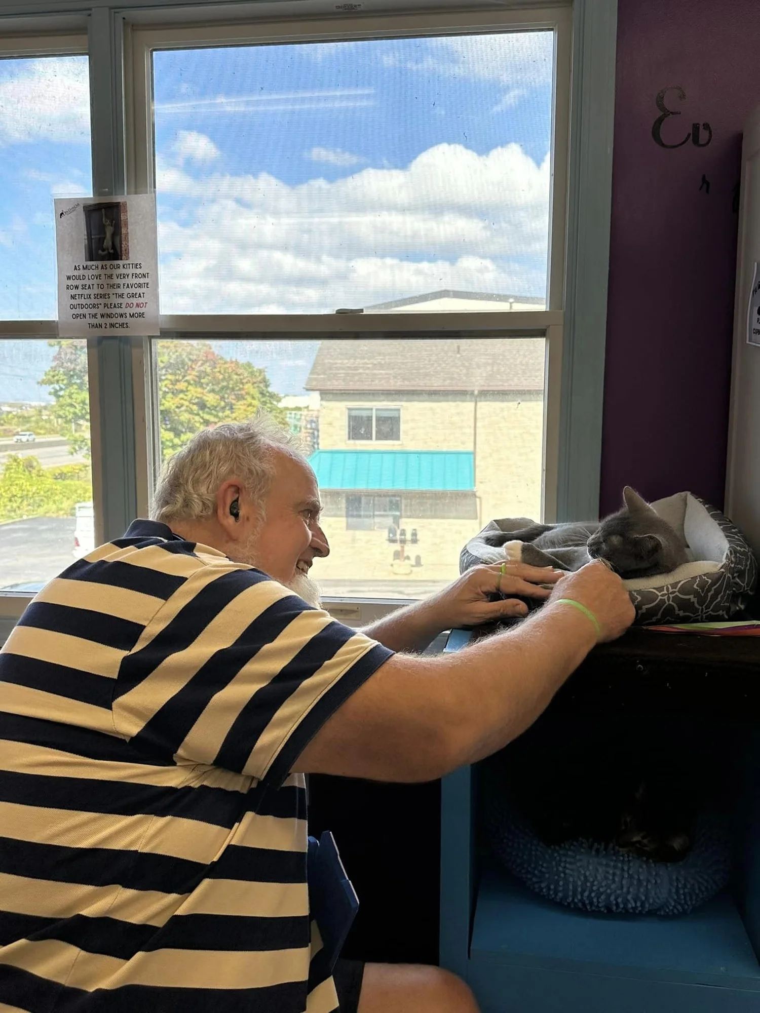 Senior Kitty Program — Ten Lives Club