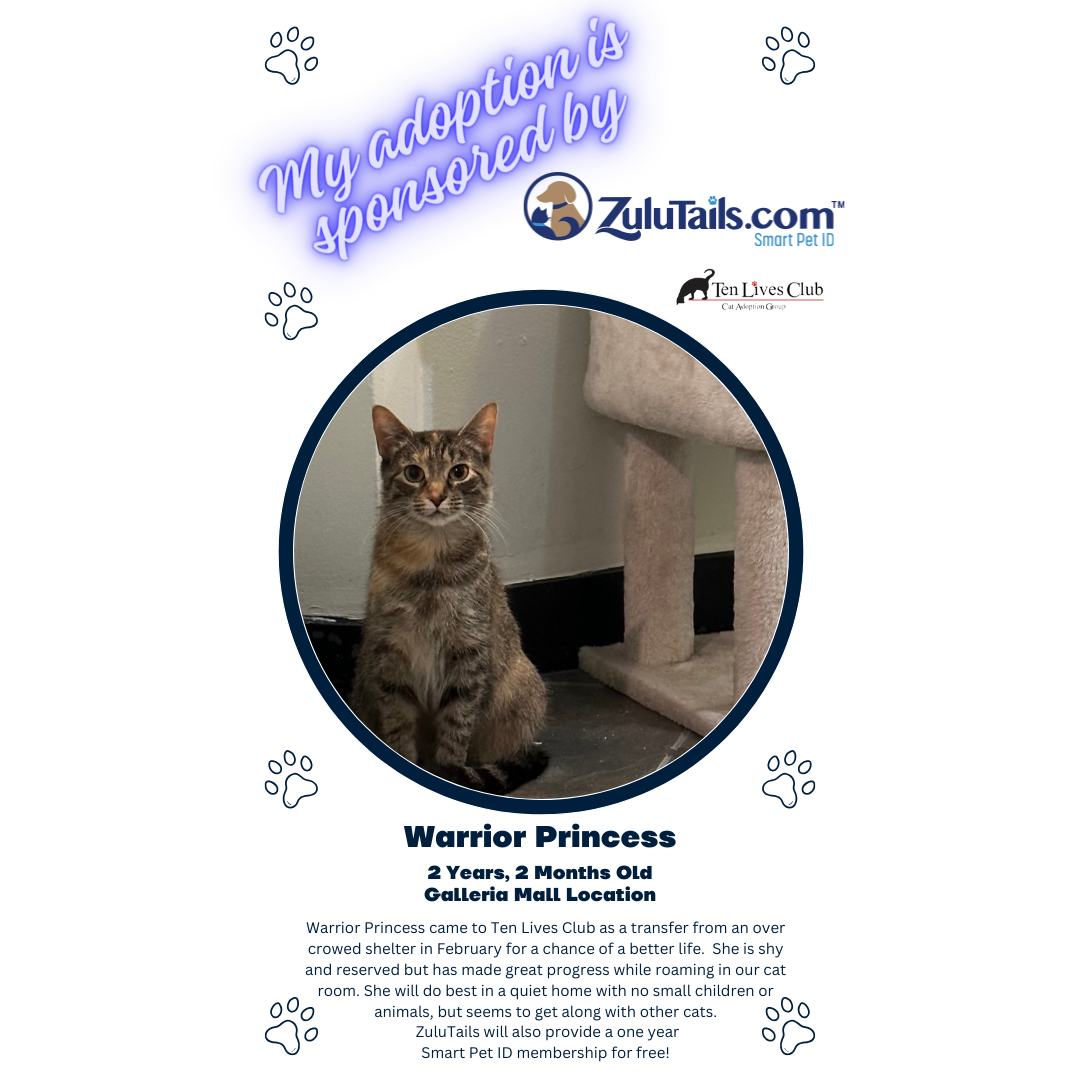 Our Partners — Ten Lives Club