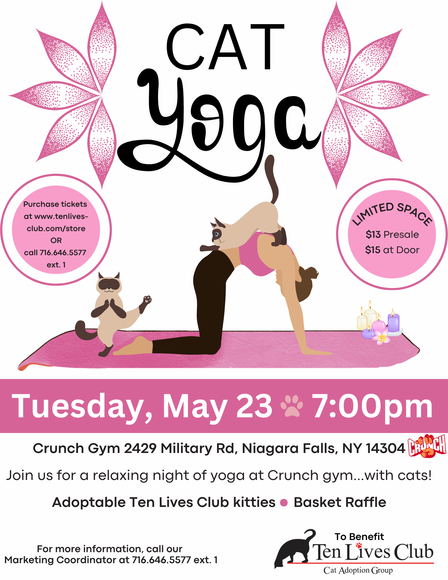 Cat Yoga — Ten Lives Club