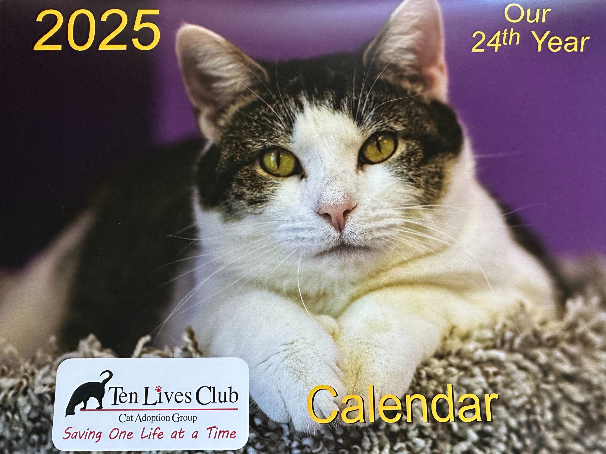 TLC Store — Ten Lives Club