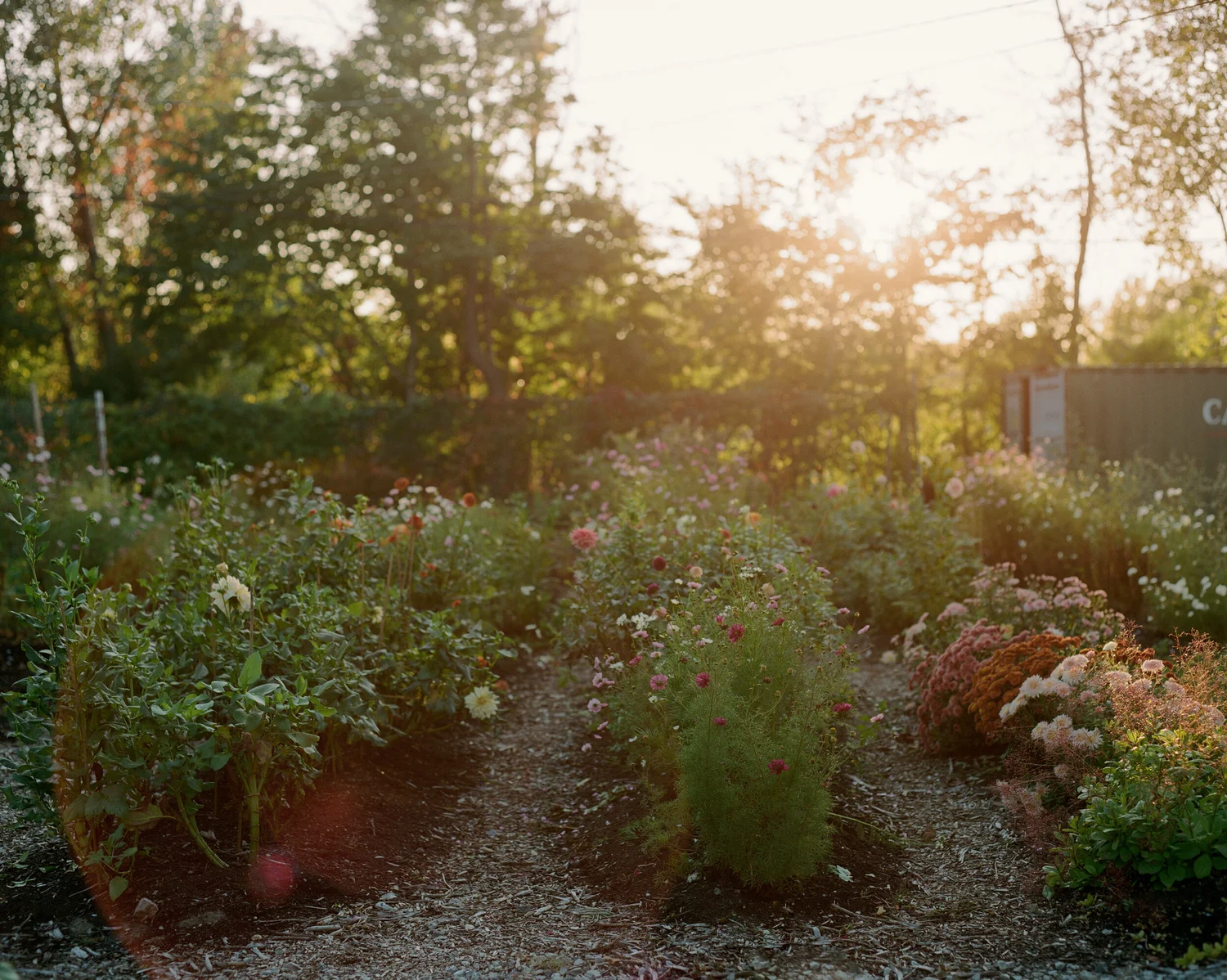 farm — Willa Rose Floral