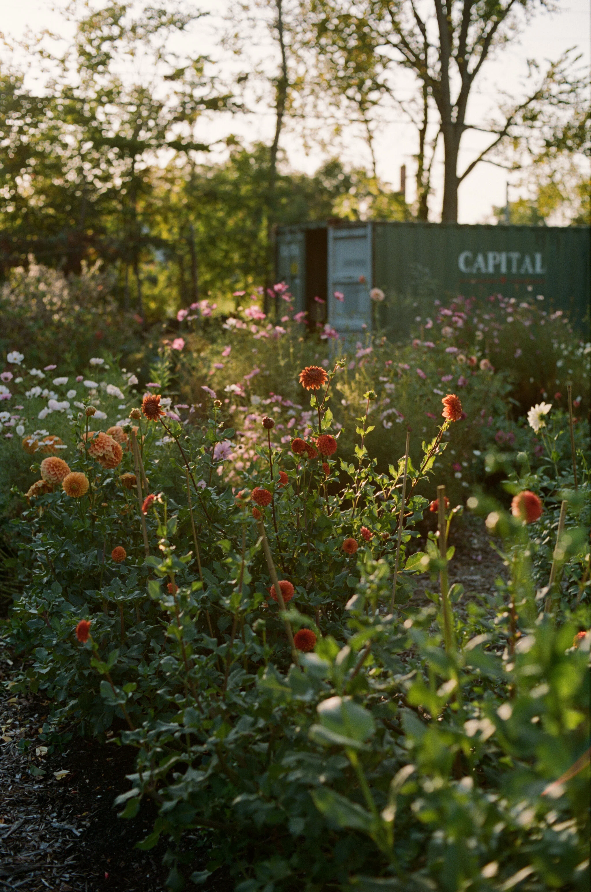 farm — Willa Rose Floral