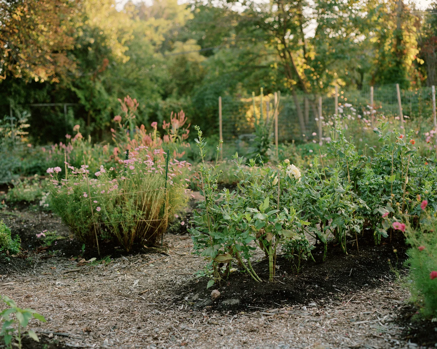 farm — Willa Rose Floral