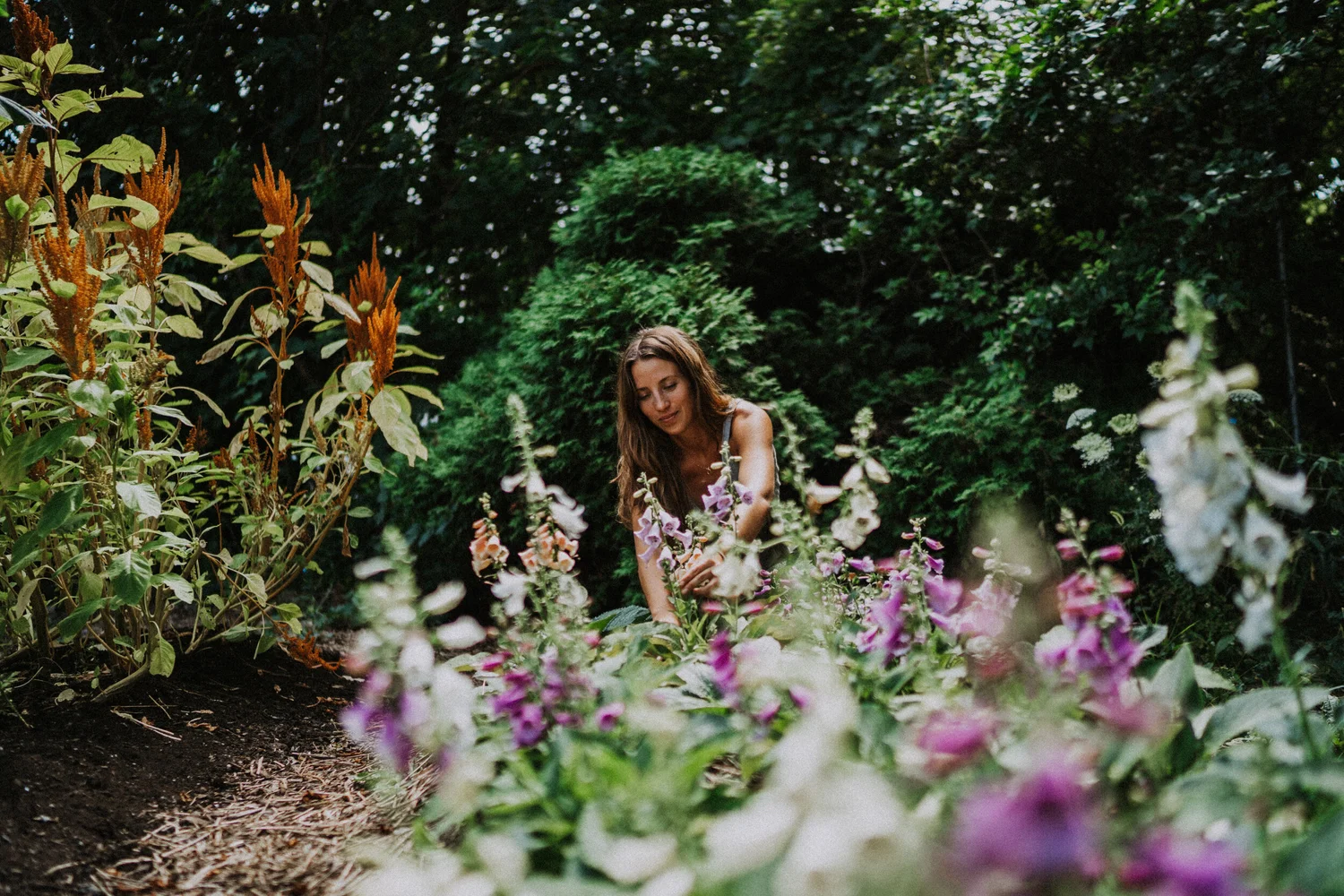 farm — Willa Rose Floral