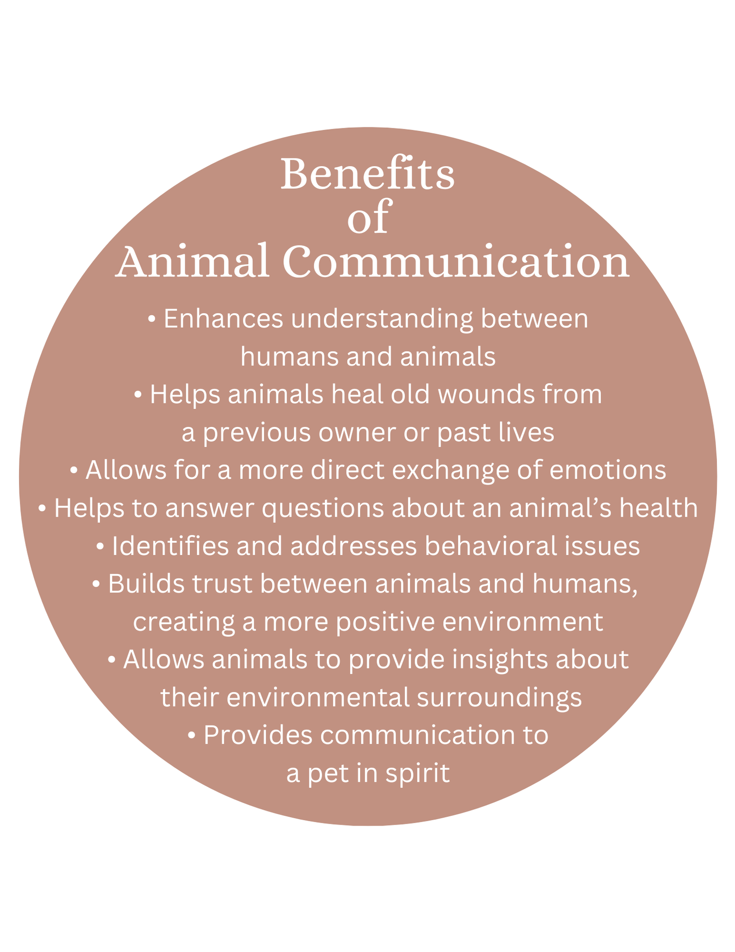 Animal Communication with Nora