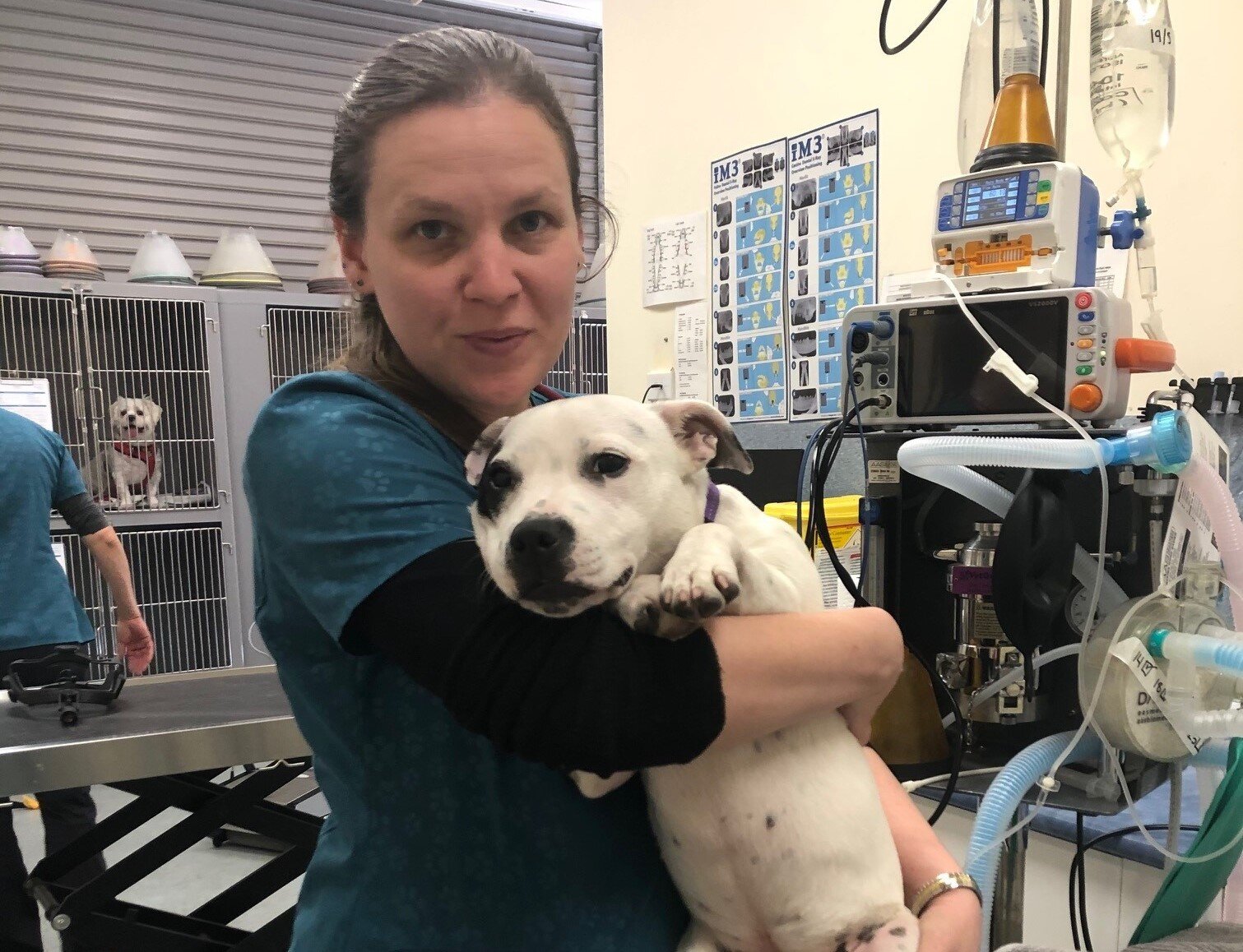 Meet the Team — MalagaVet