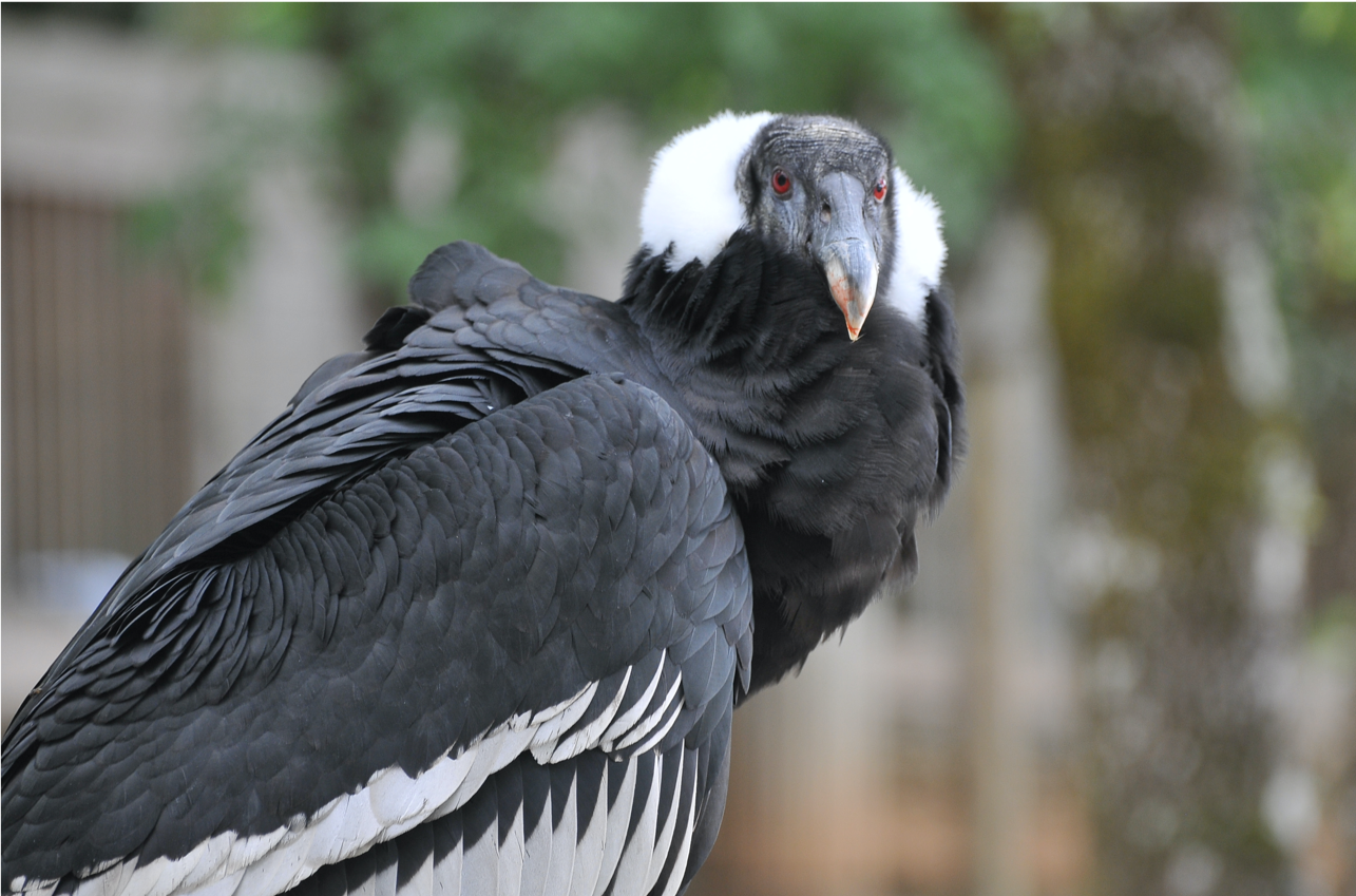 Available positions — Home