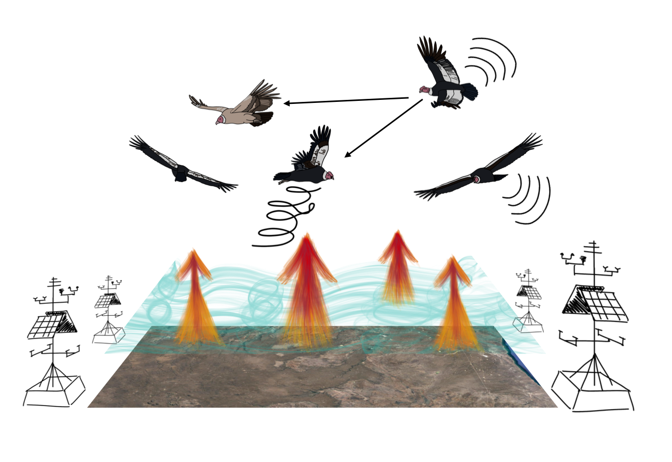 Available positions — Home