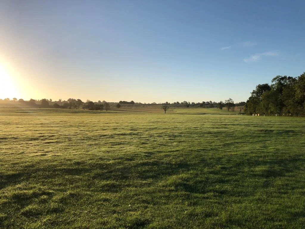 GALLERY — Bruce Green Foundation