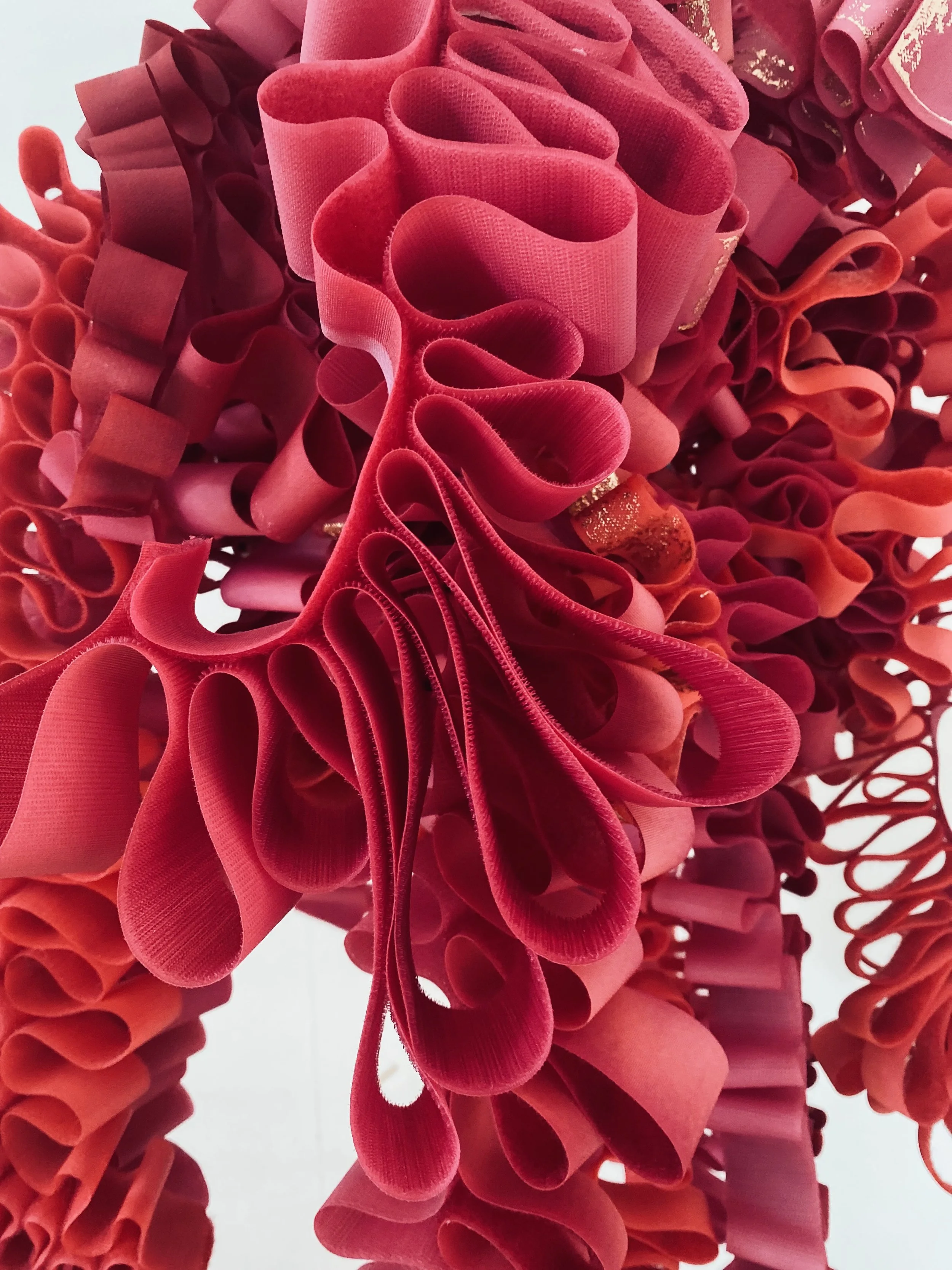 Rachel Fitzpatrick Design