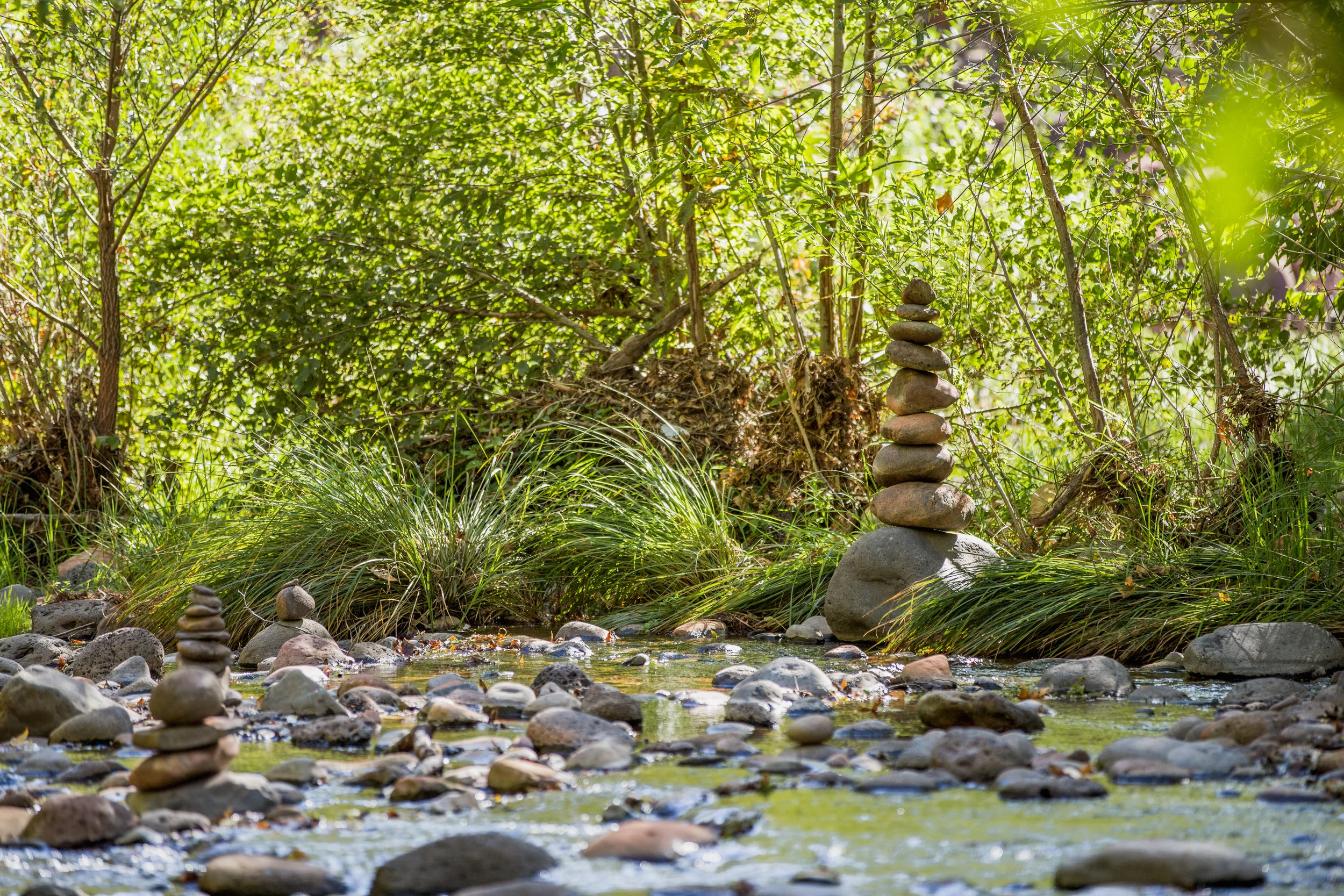 Guided Meditation for Anxiety: The Container — Mindful Living ...