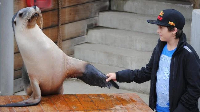 How to Become a Zoo Designer — Felis Consulting