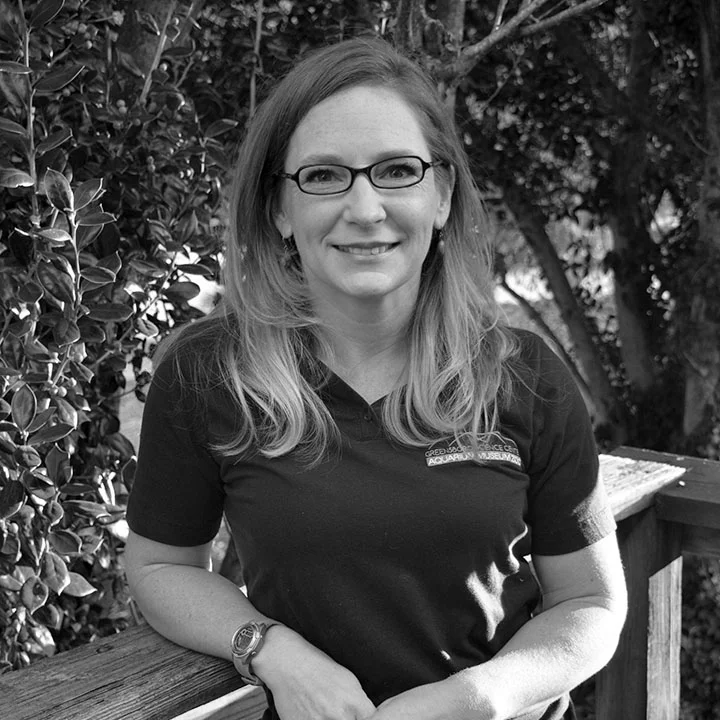 Owl at the Table--Perspectives from the Small & Mighty: Jessica Hoffman ...