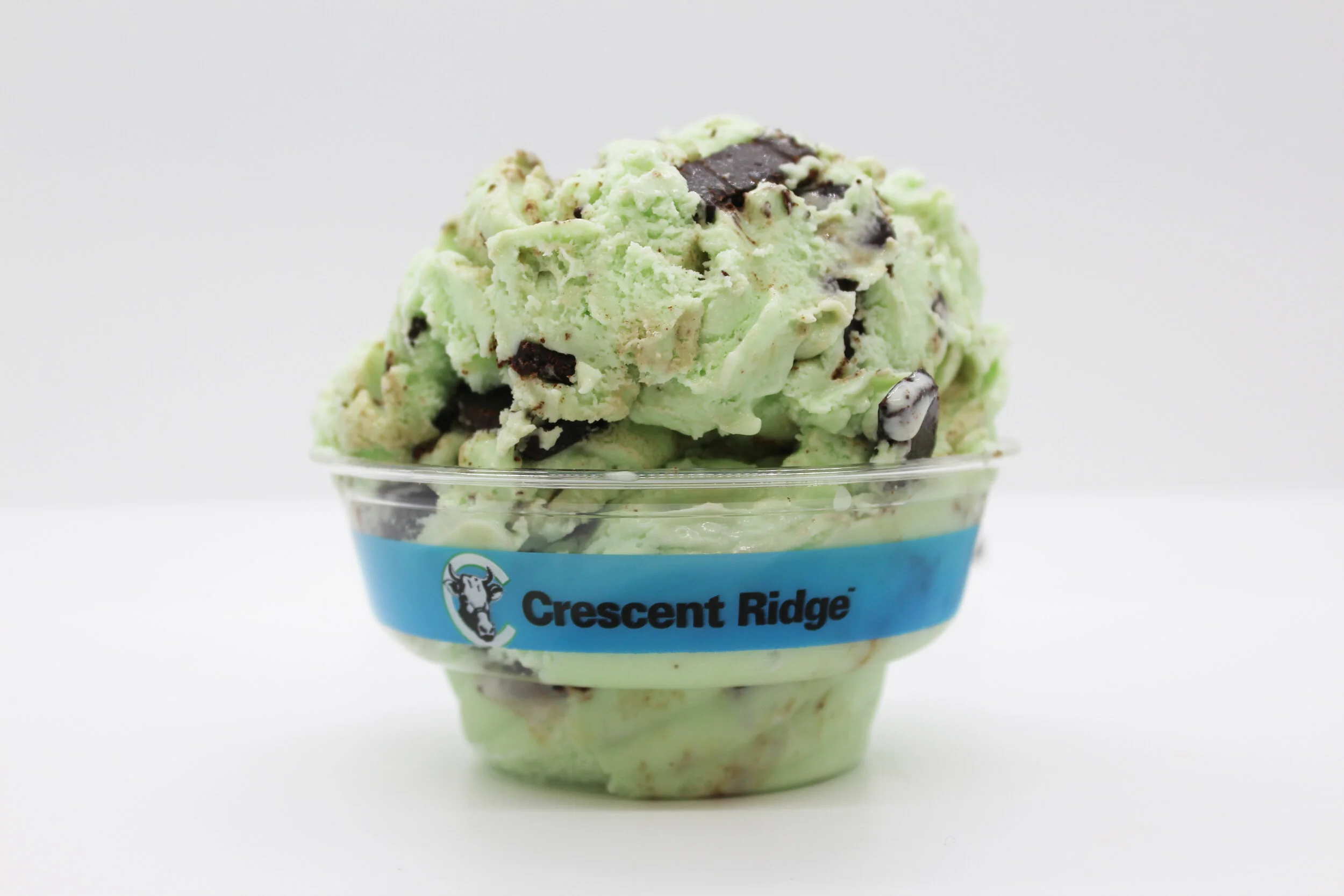 Crescent Ridge Mint Chip Ice Cream — Crescent Ridge Dairy Bar