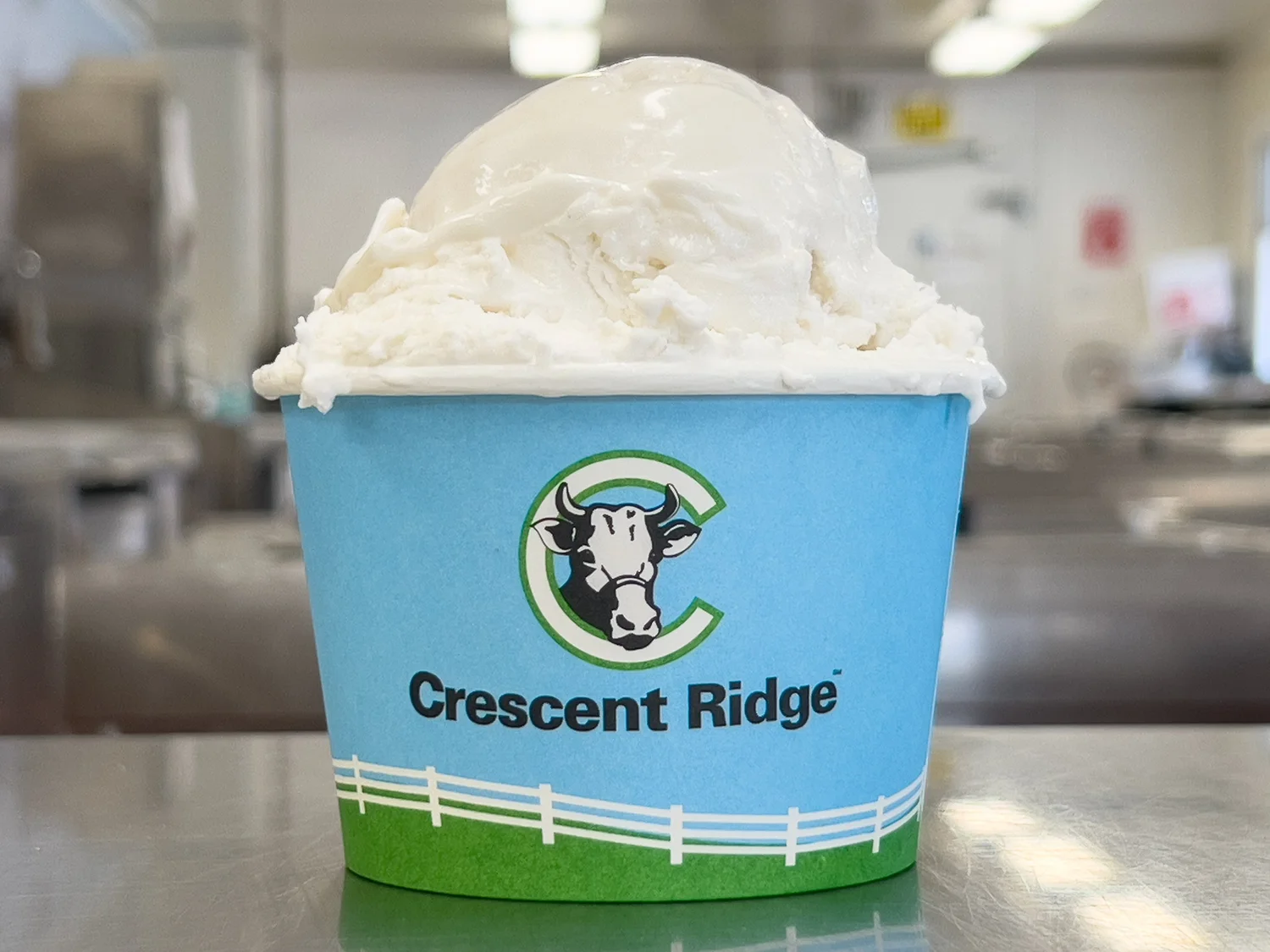 Crescent Ridge Non Dairy Vanilla Ice Cream — Crescent Ridge Dairy Bar