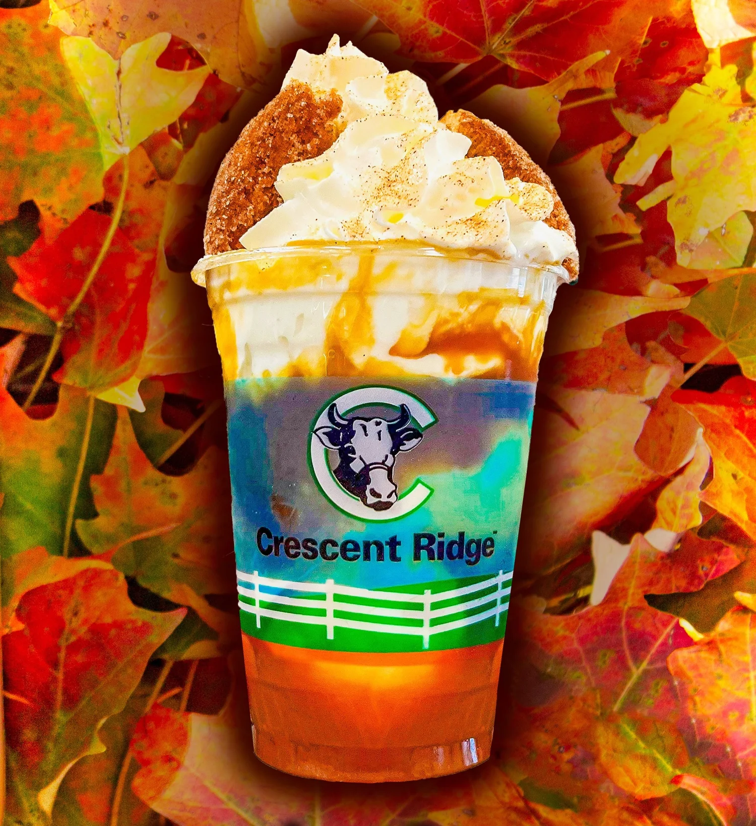 Ice Cream — Crescent Ridge Dairy Bar