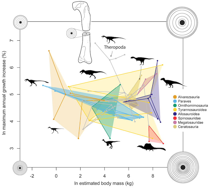 Dinosaur Growth — Michael D. D'Emic, PhD