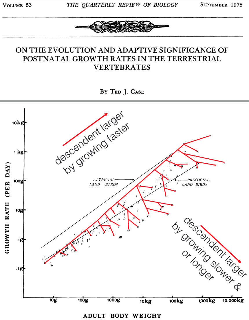 Dinosaur Growth — Michael D. D'Emic, PhD