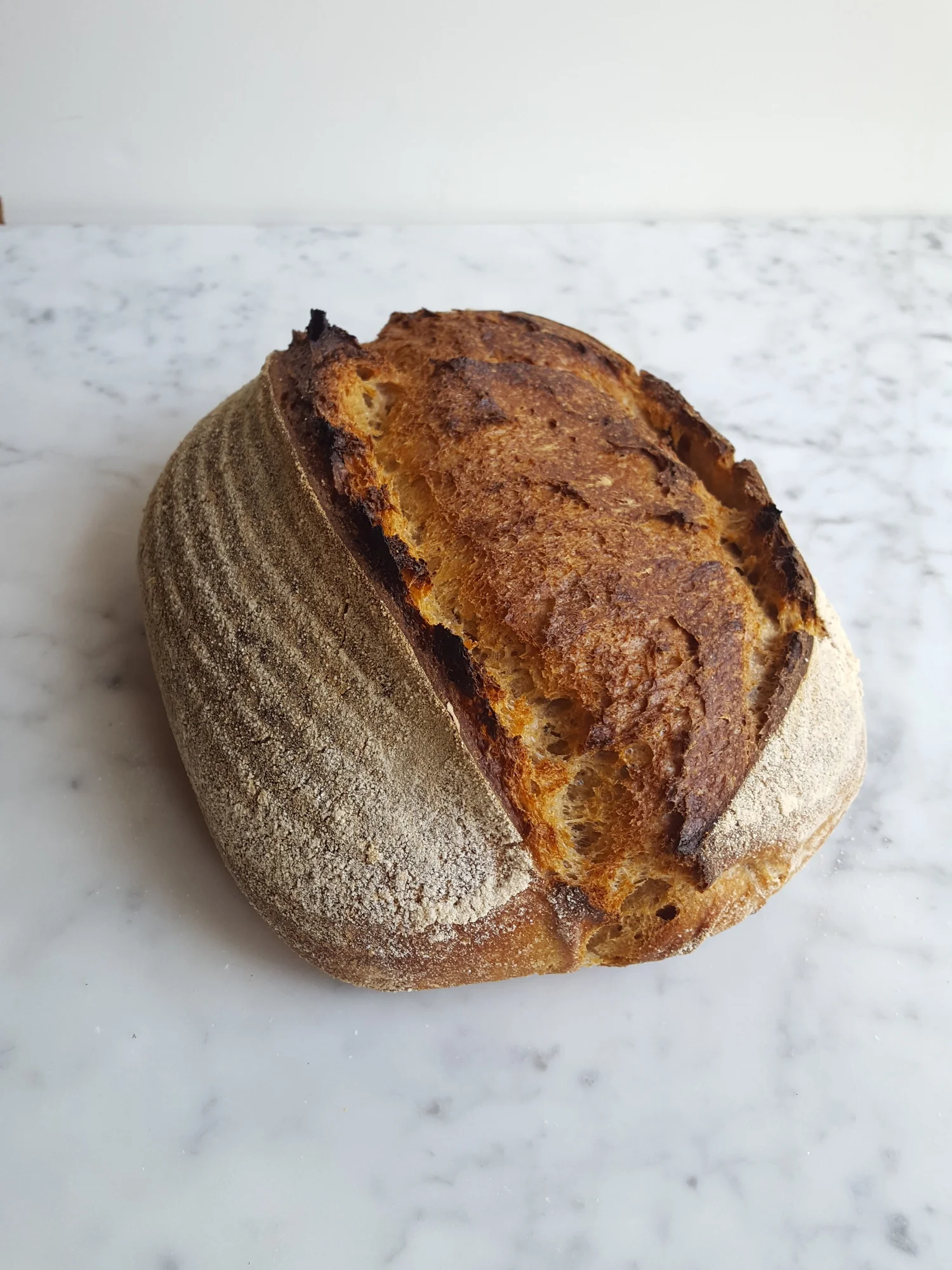 Shop Gallery — Riviera Bread