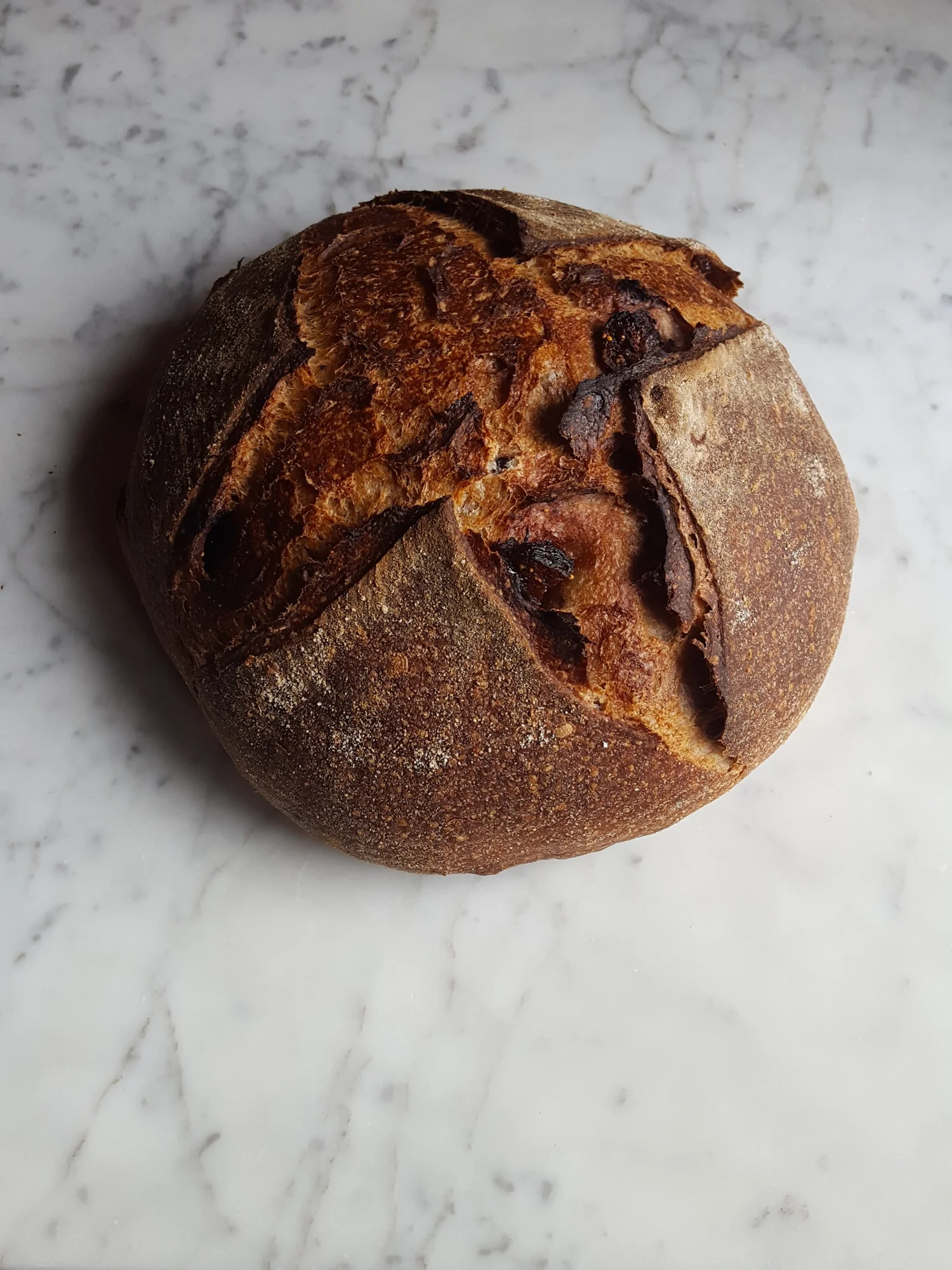 Shop Gallery — Riviera Bread