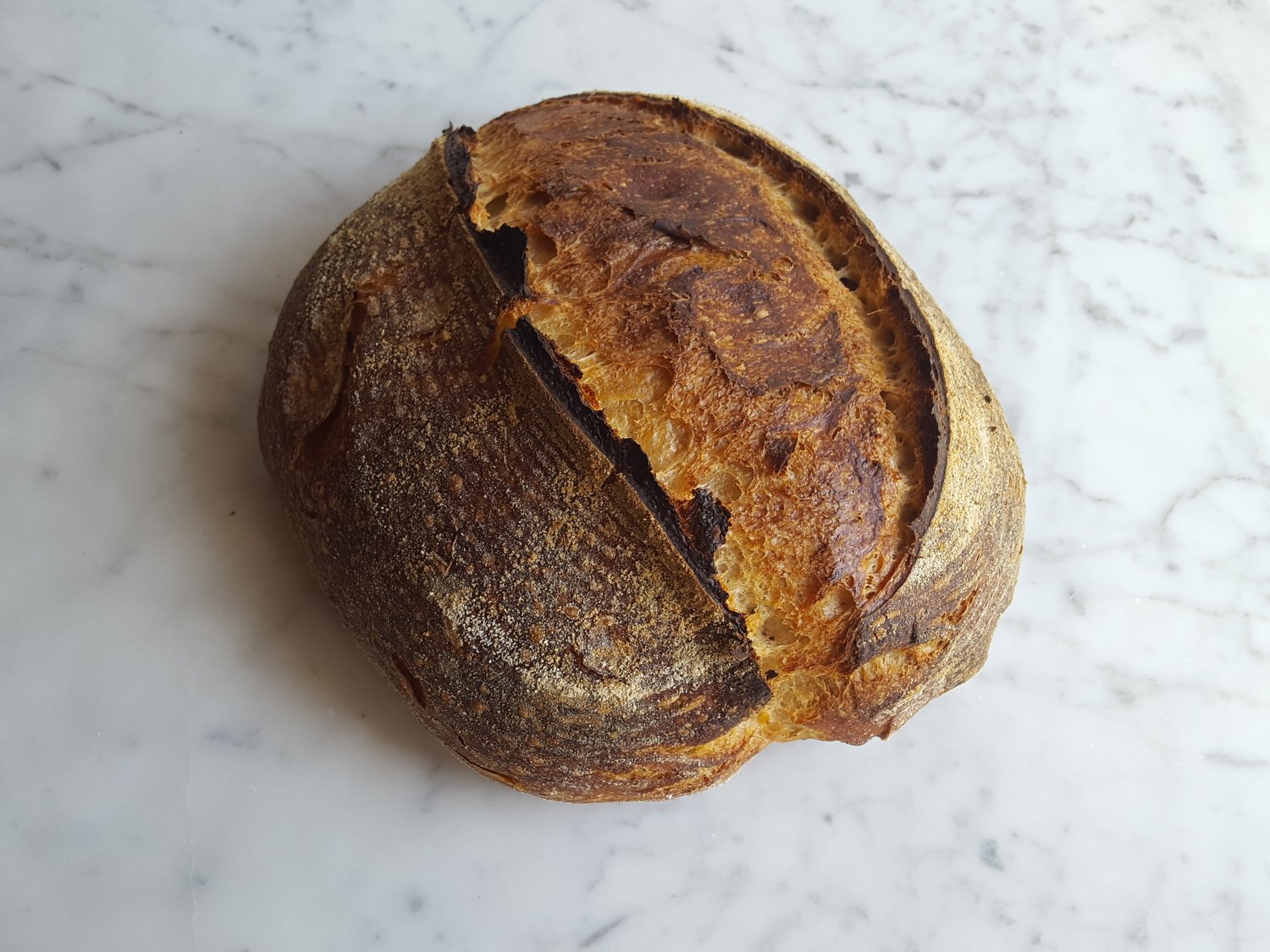 Shop Gallery — Riviera Bread