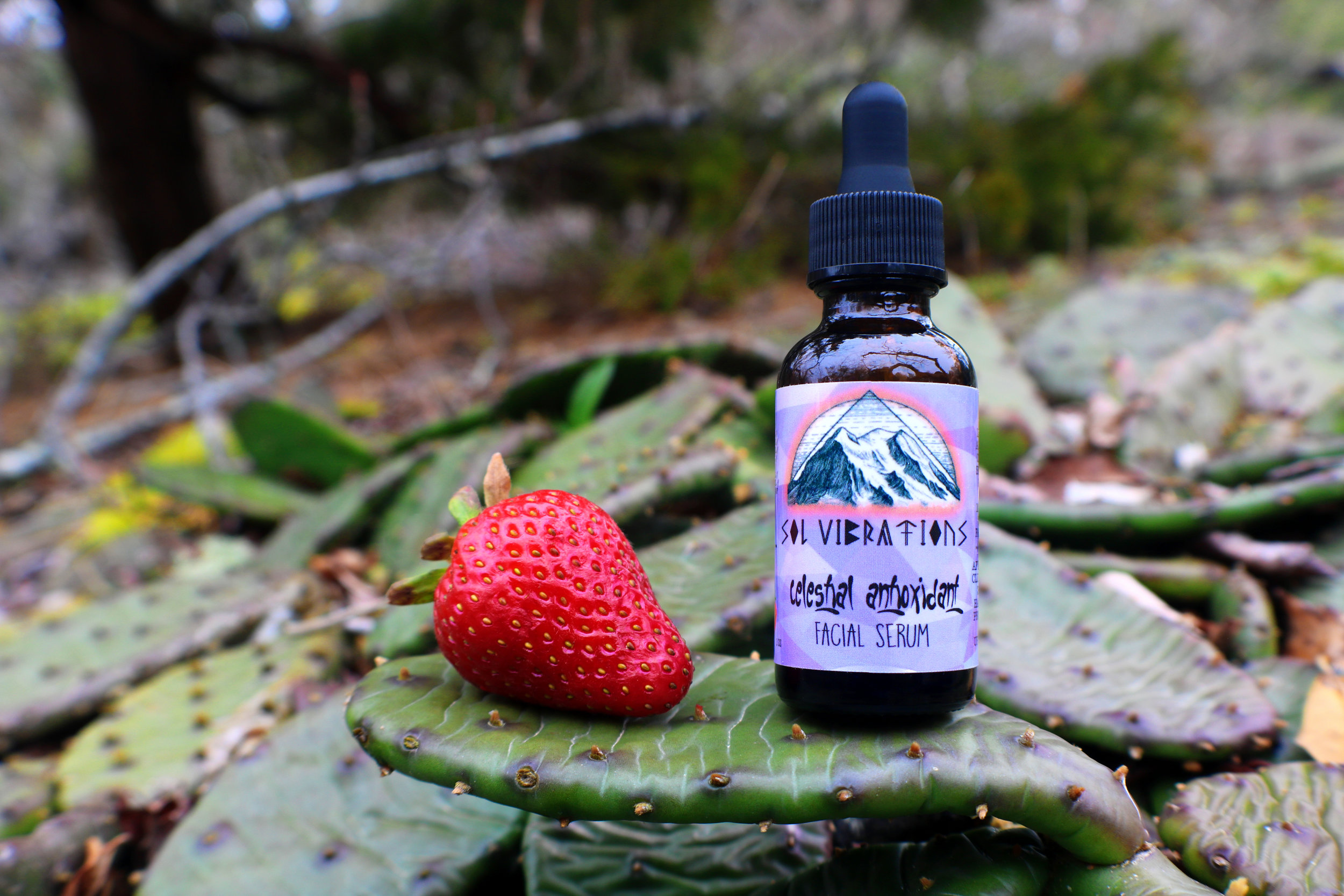 Celestial Antioxidant Serum — Sol Vibrations