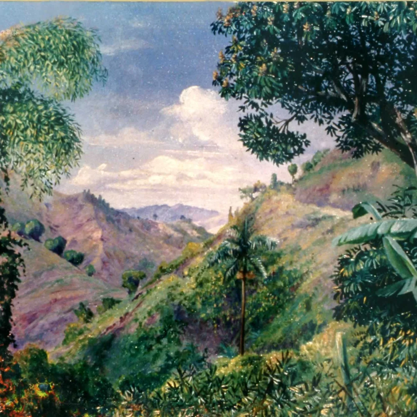 History — Blue Mountain Coffee Jamaica