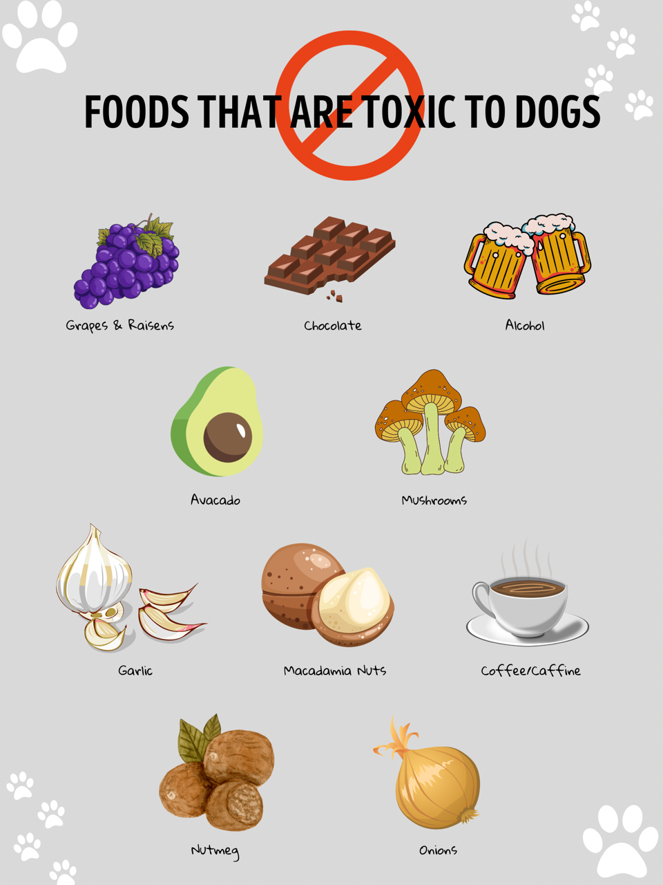 10 FOODS THAT ARE TOXIC TO DOGS — DOODLES OF OZ