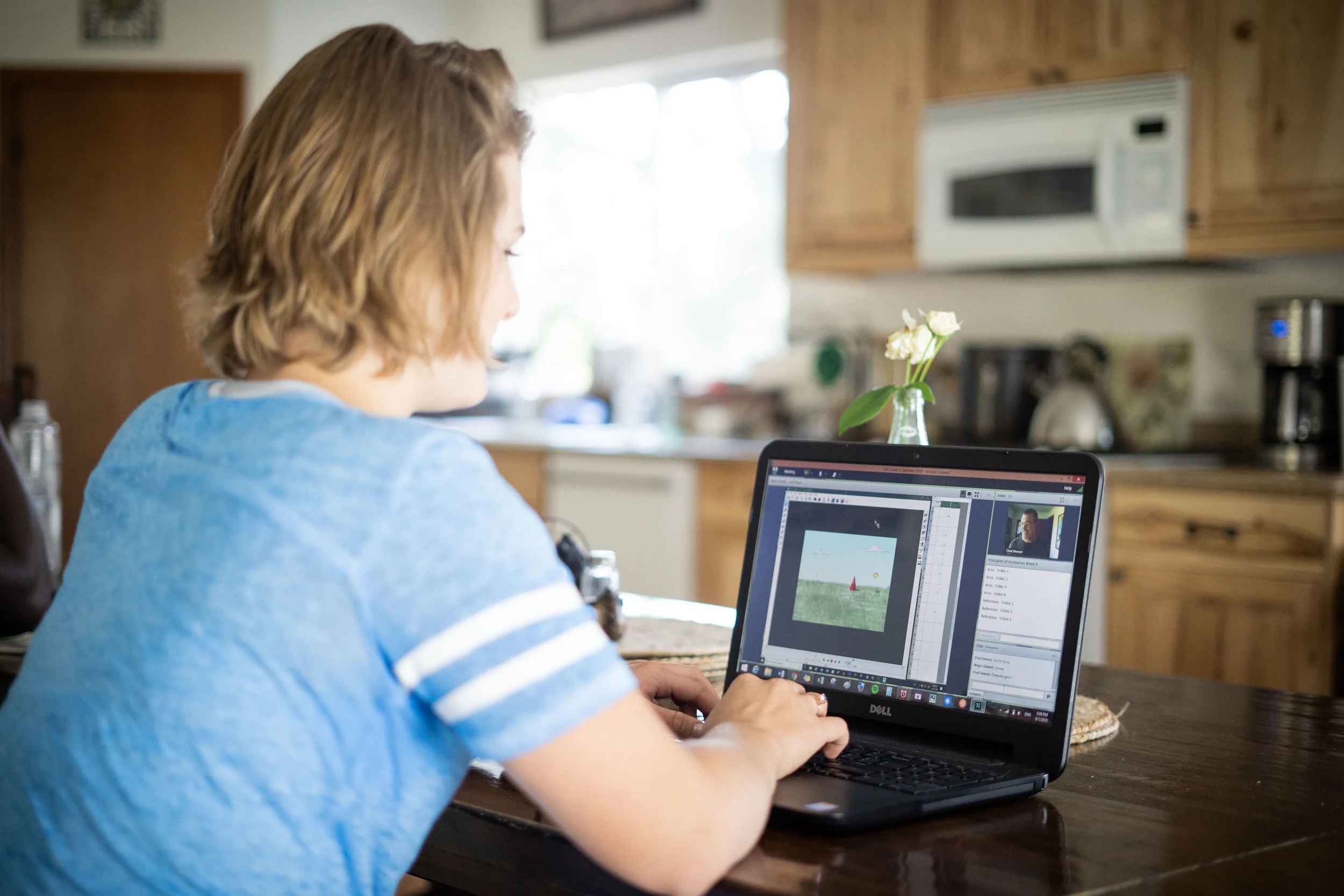 The Animation Course