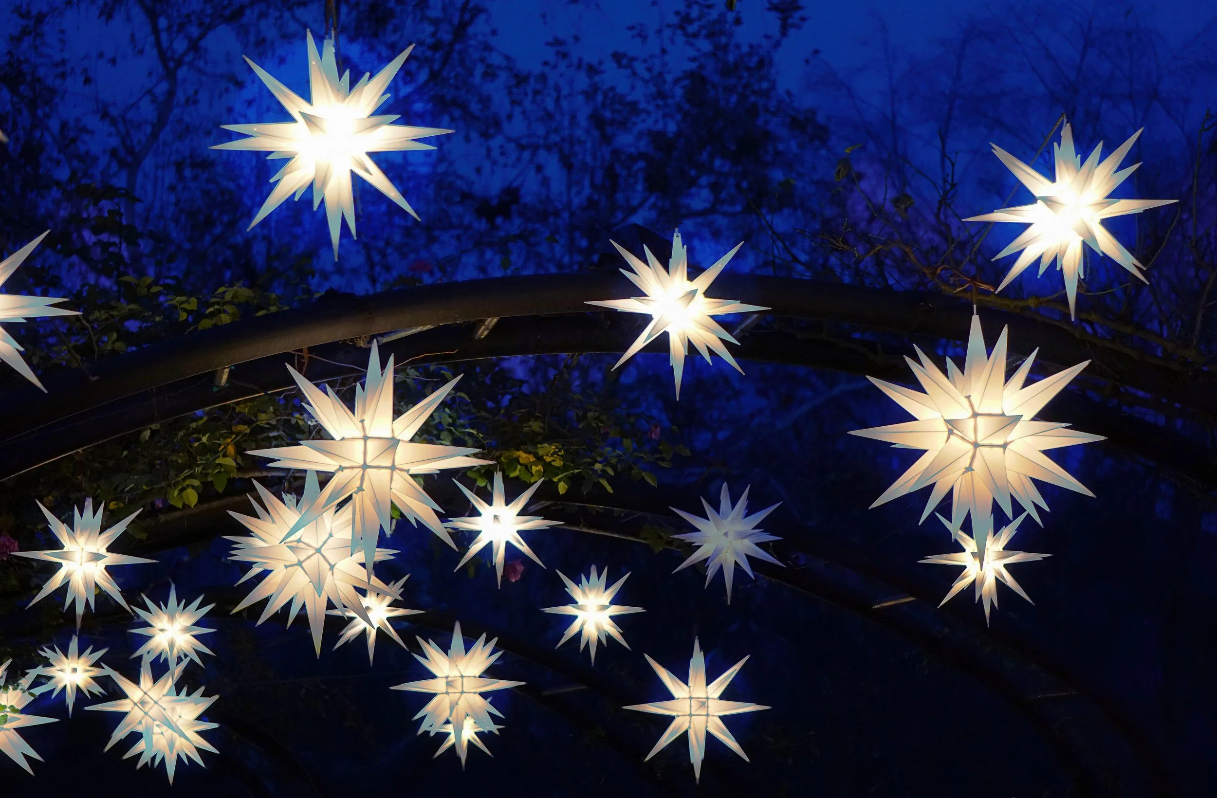 Neon, Lights & Signs — ViewSpaces