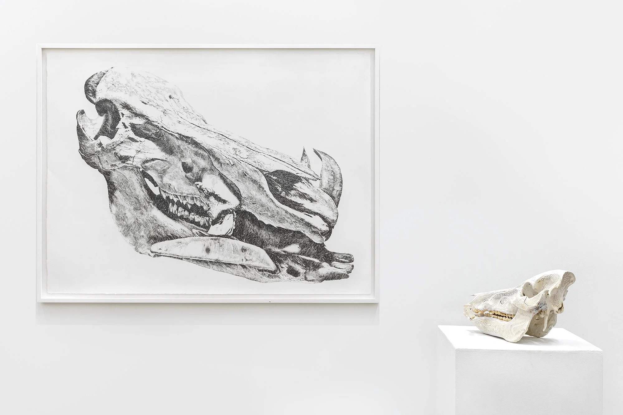 Contemporary Art / Public Art. Now at Primary.