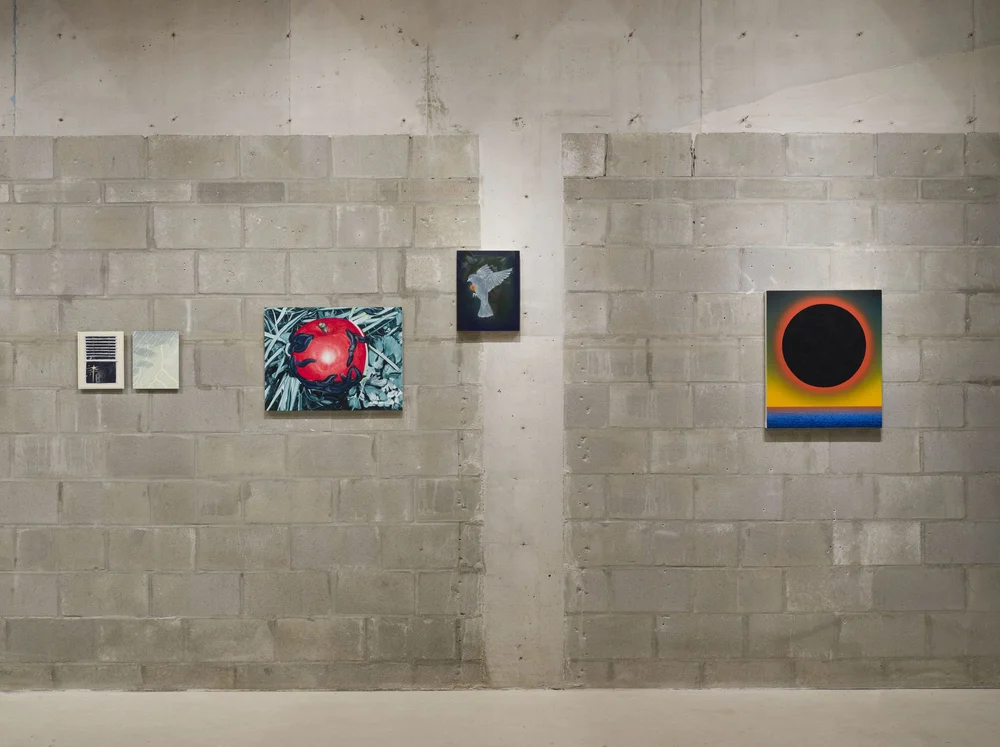 Contemporary Art / Public Art. Now at Primary.