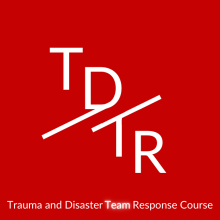 Subvention TDTR EN — MUHC Centre for Global Surgery