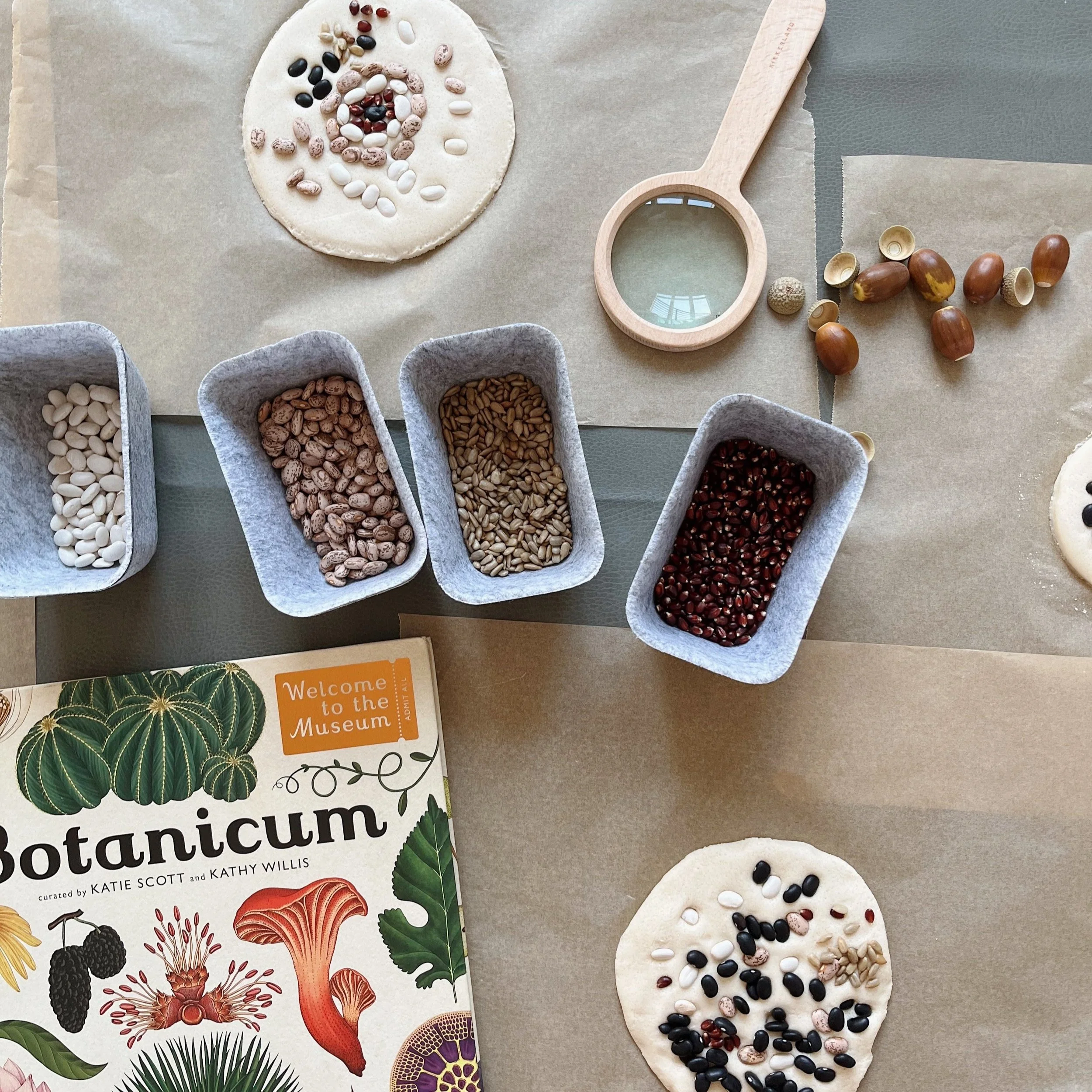 Nature + Season-Based Learning — My Simply Simple