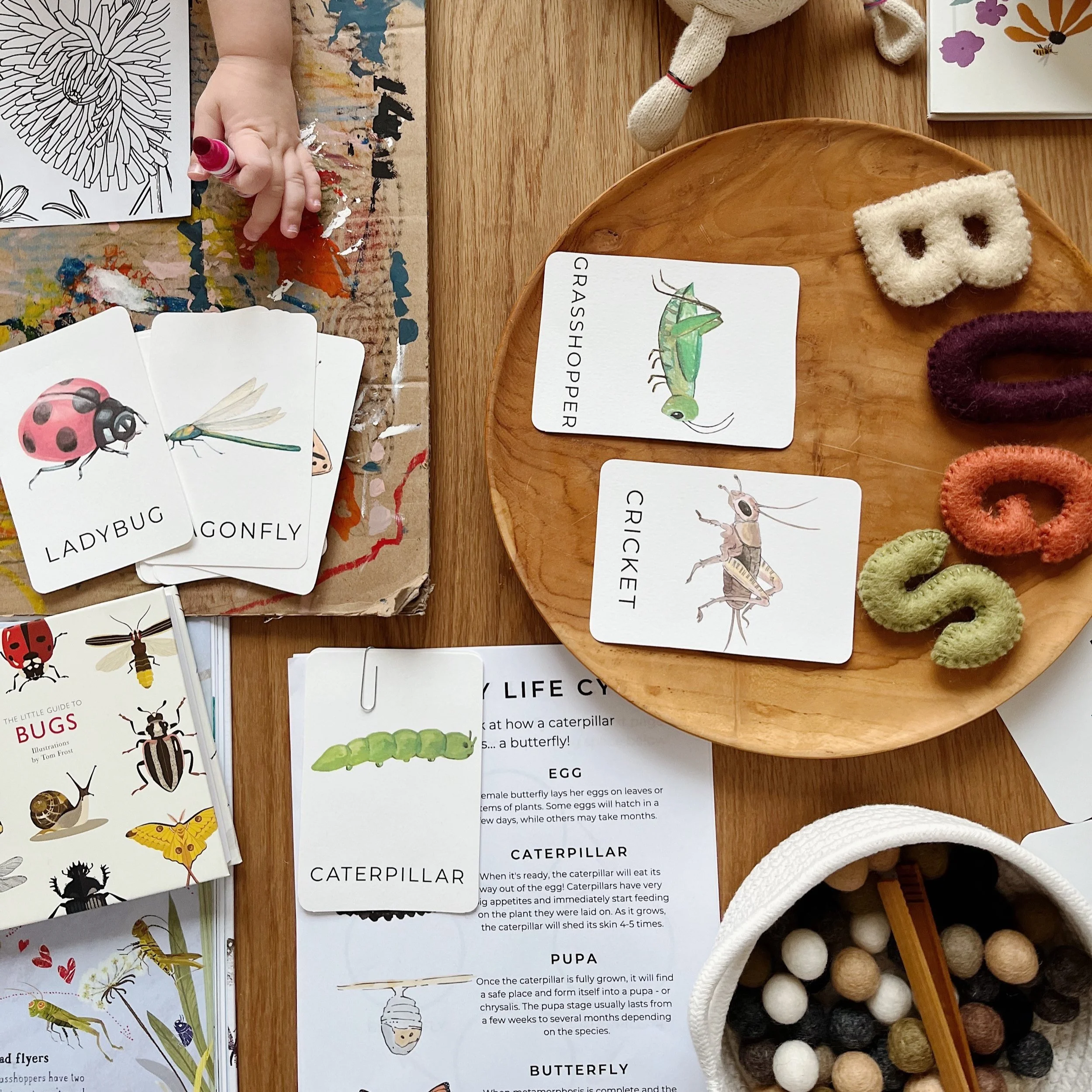 Nature + Season-Based Learning — My Simply Simple