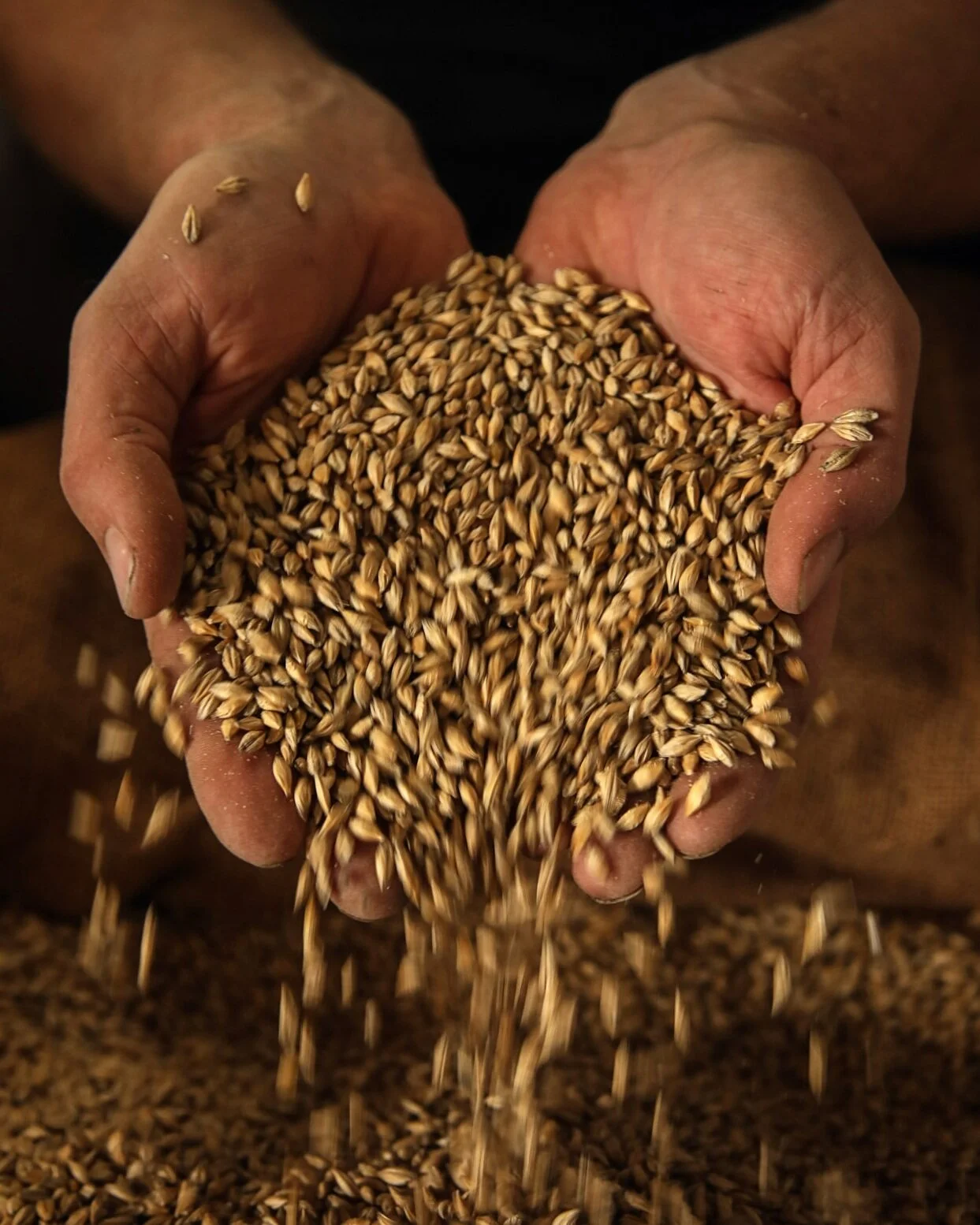 Auld Farm Distillery — Harvest Casks