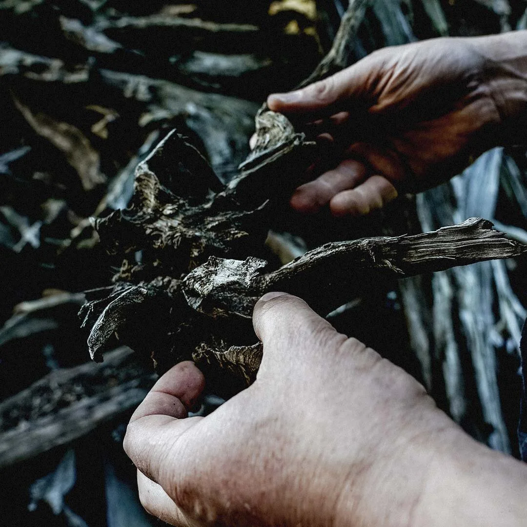 Auld Farm Distillery — From First Seed to First Sip