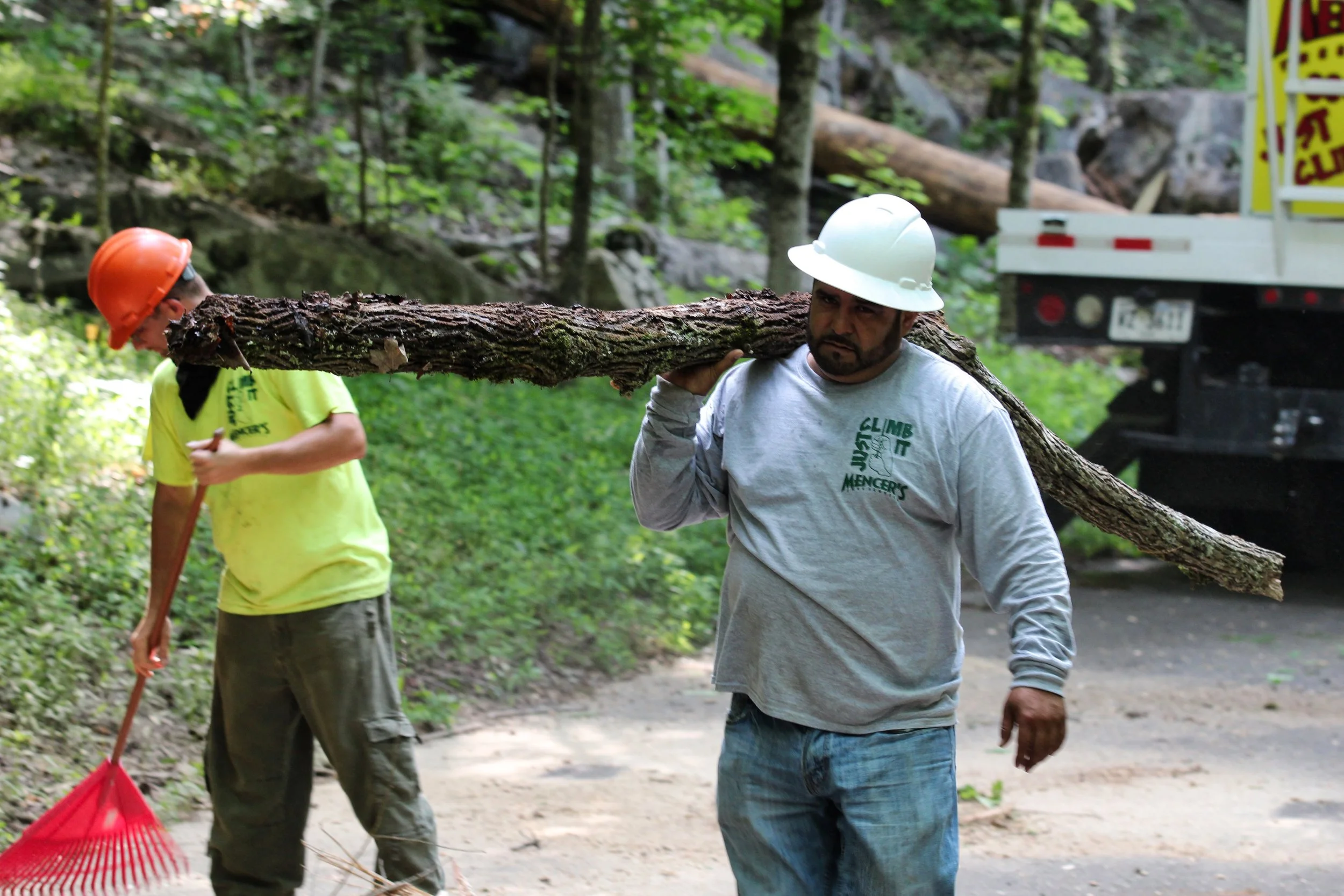 Mencer's Tree Service