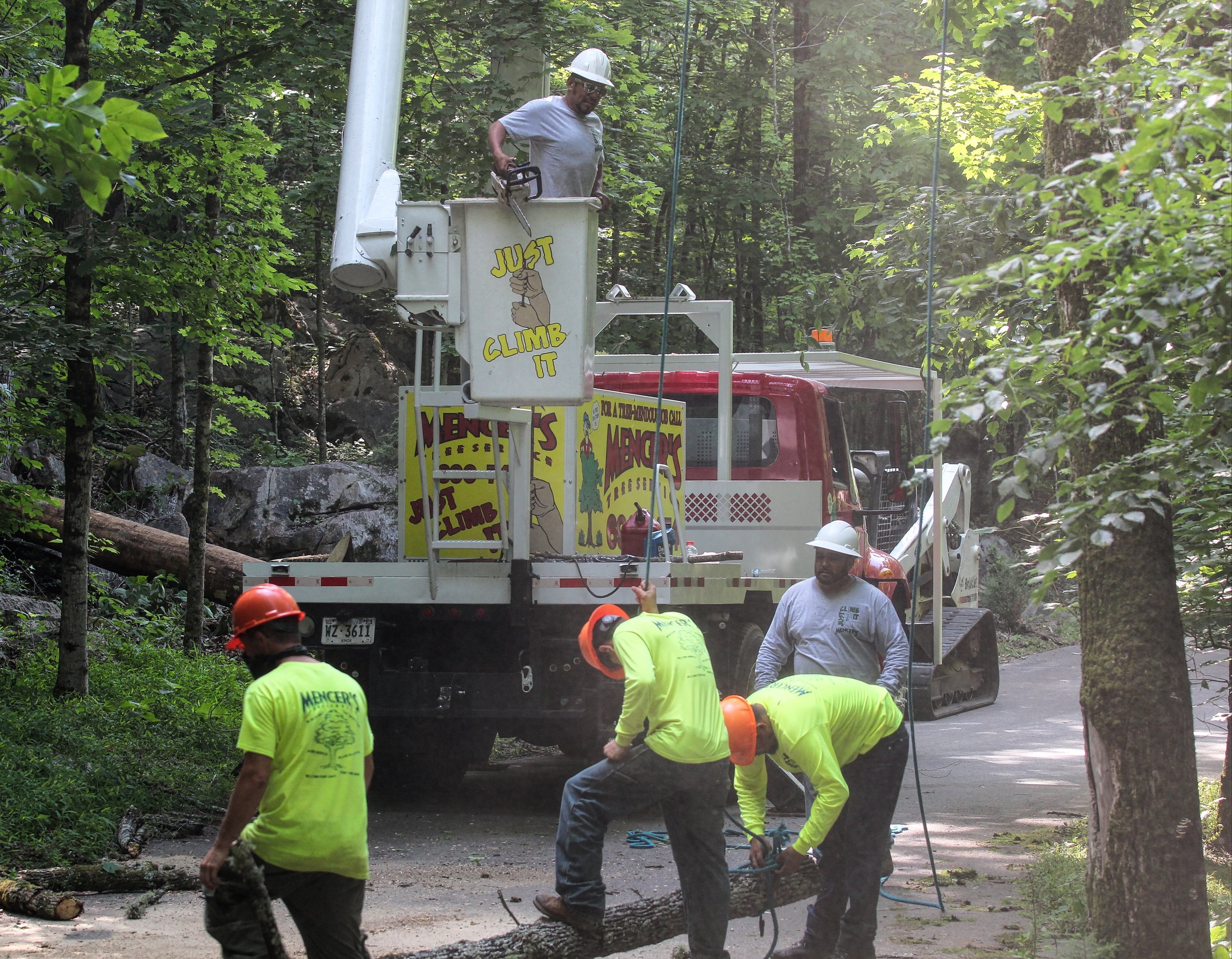 Mencer's Tree Service