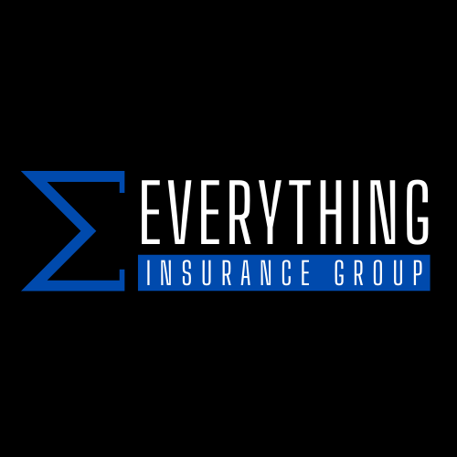 ABOUT US — Everything Insurance Group LLC