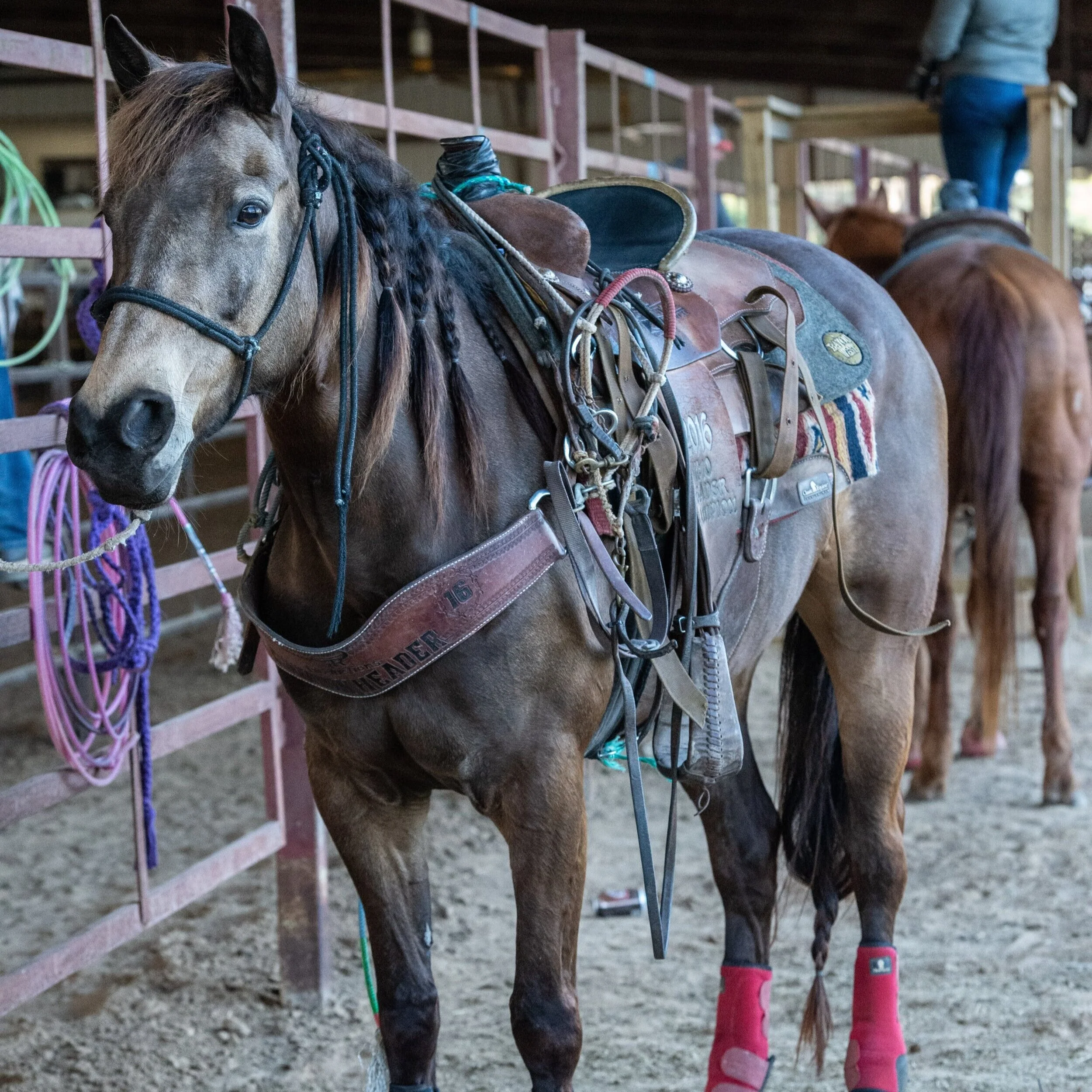 Arena Ministries — Lone Star Cowboy Church