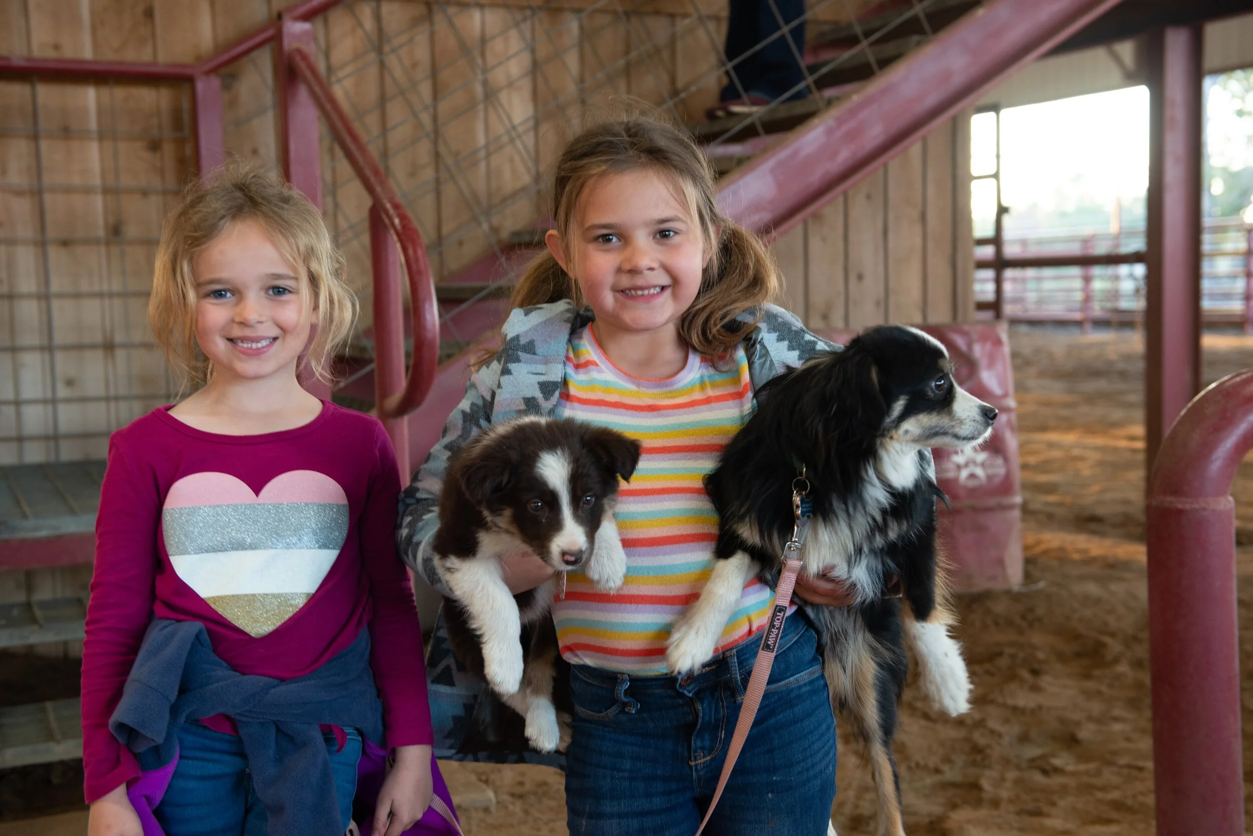 Arena Ministries — Lone Star Cowboy Church