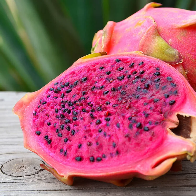 Pitaya vs Açaí: Battle of the Bowls — Juice on Main